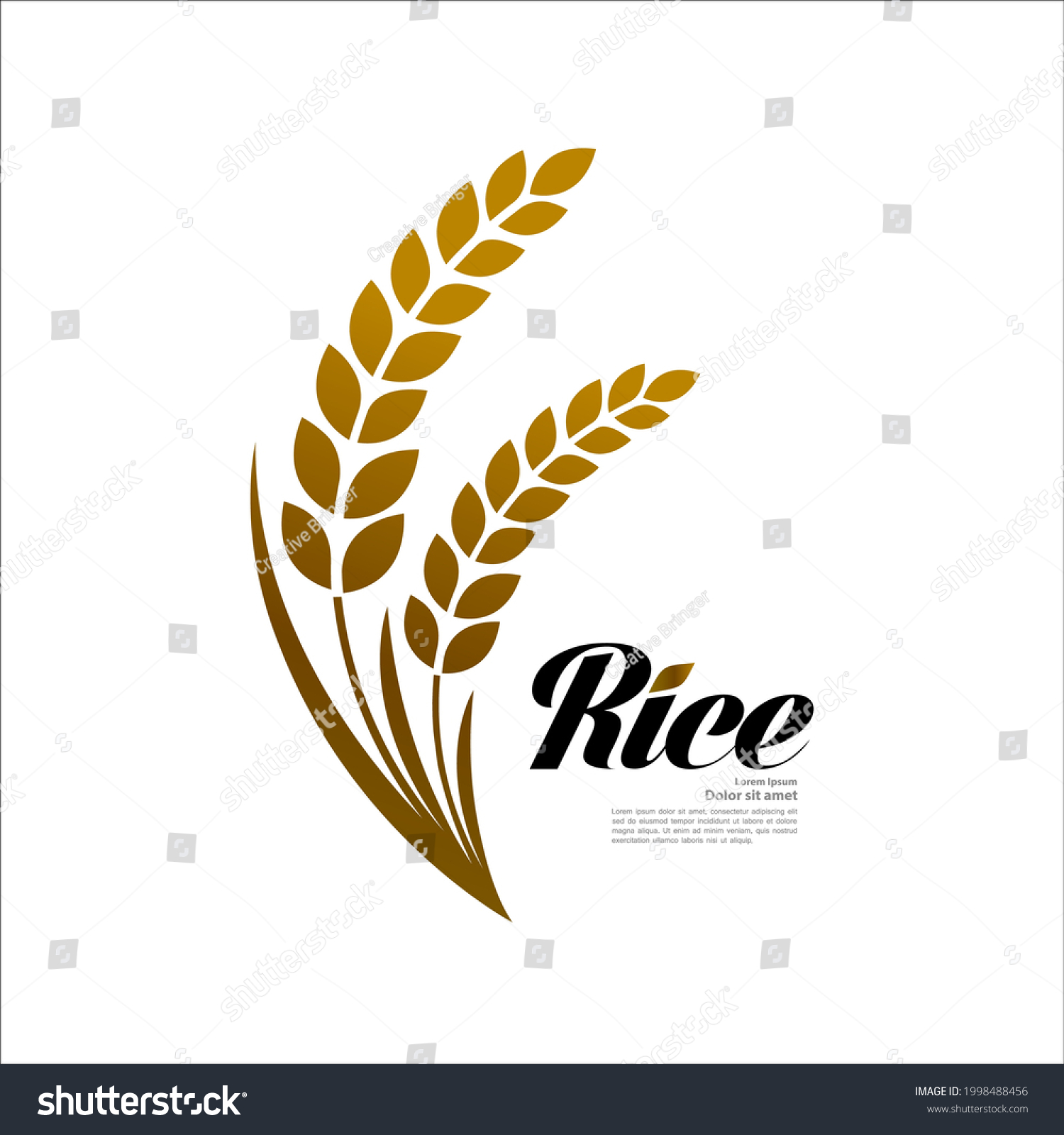 Premium Rice Vector Illustration Stock Vector (Royalty Free) 1998488456 ...
