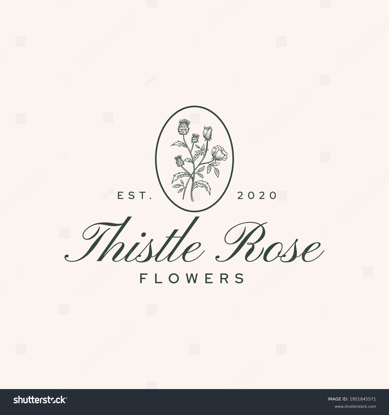 Thistle Rose Flower Logo Vector Template Stock Vector (Royalty Free ...