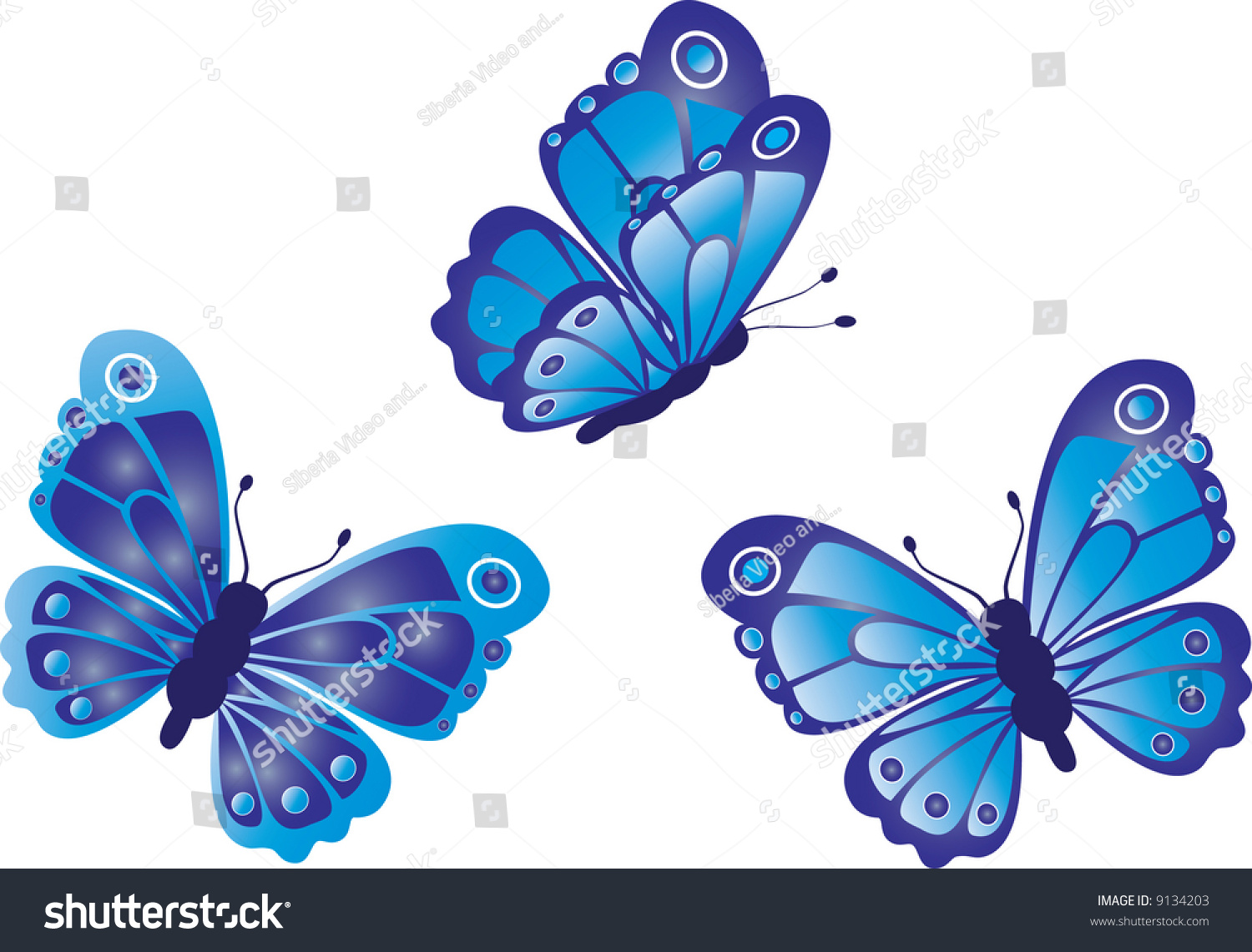 Three Butterflies On A White Background Stock Vector Illustration ...