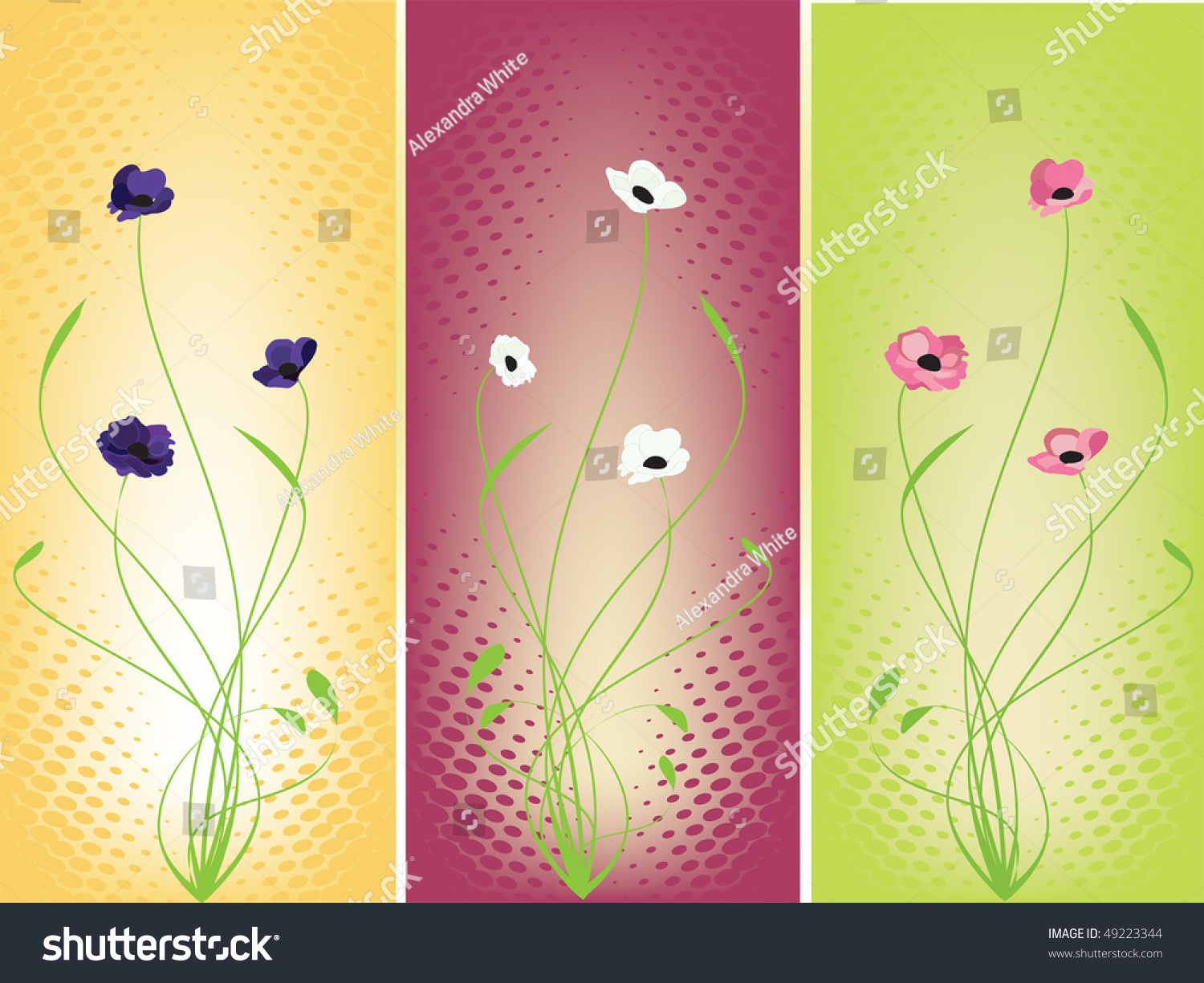 Three Different Flowers On Three Different Stock Vector (Royalty Free ...