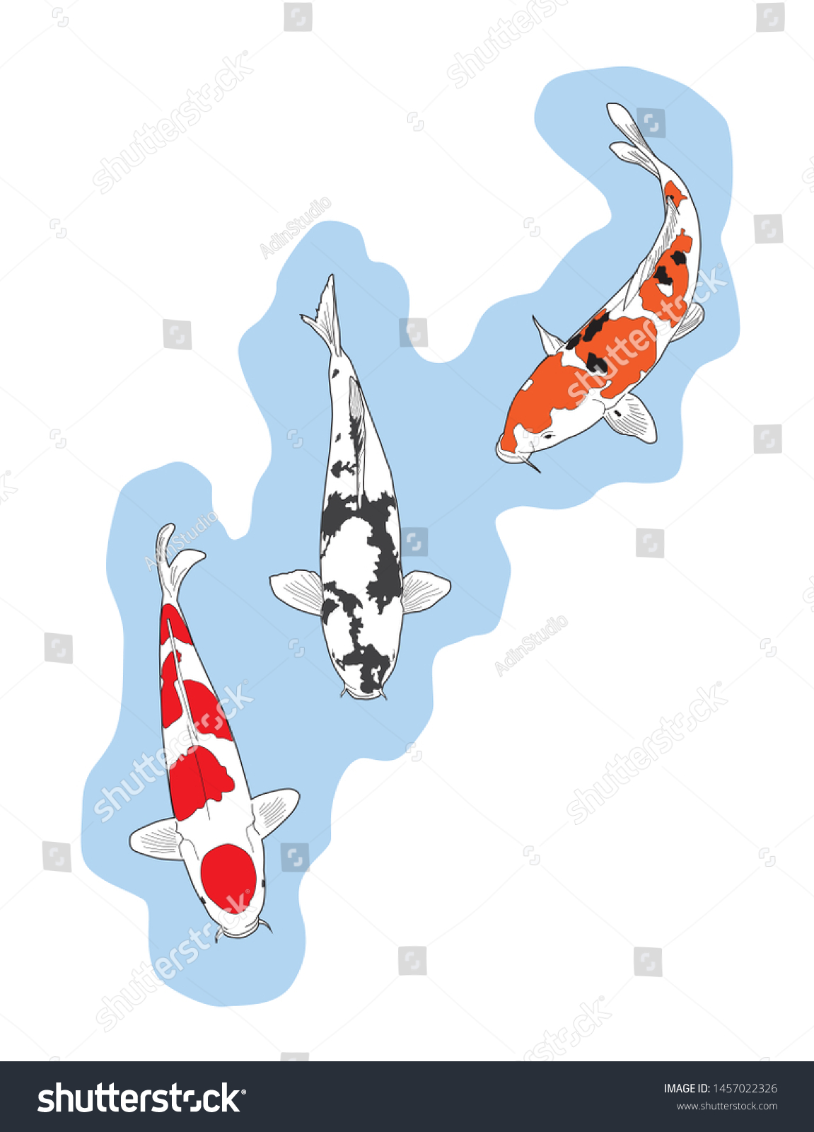 Three Koi Fish White Background Vector: vector de stock (libre de ...