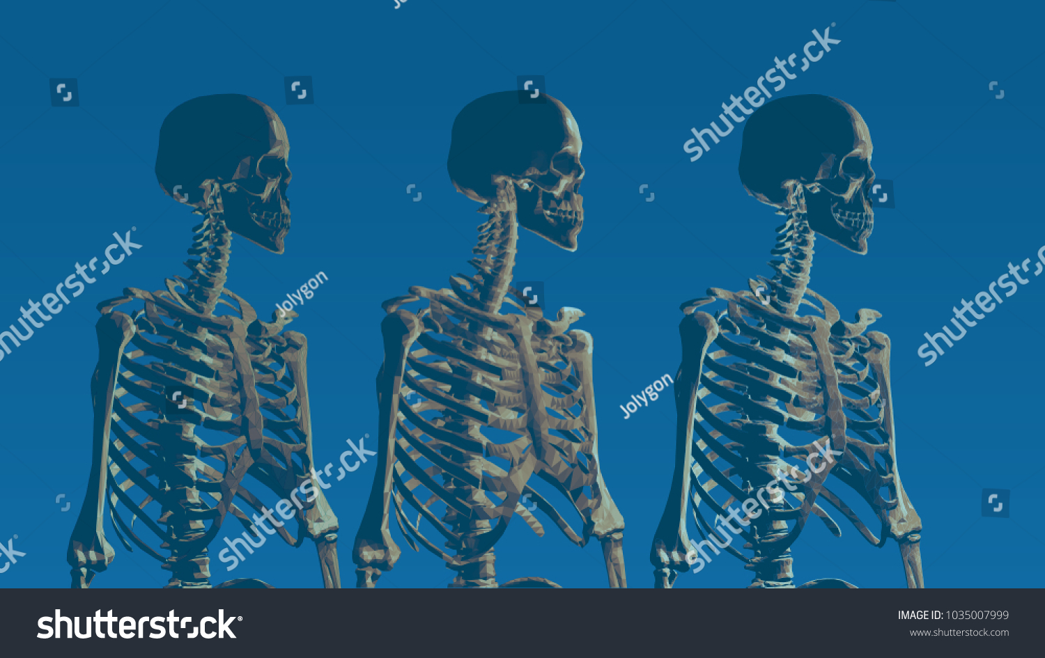 Three Low Poly Skeleton Portrait Side Stock Vector (Royalty Free ...