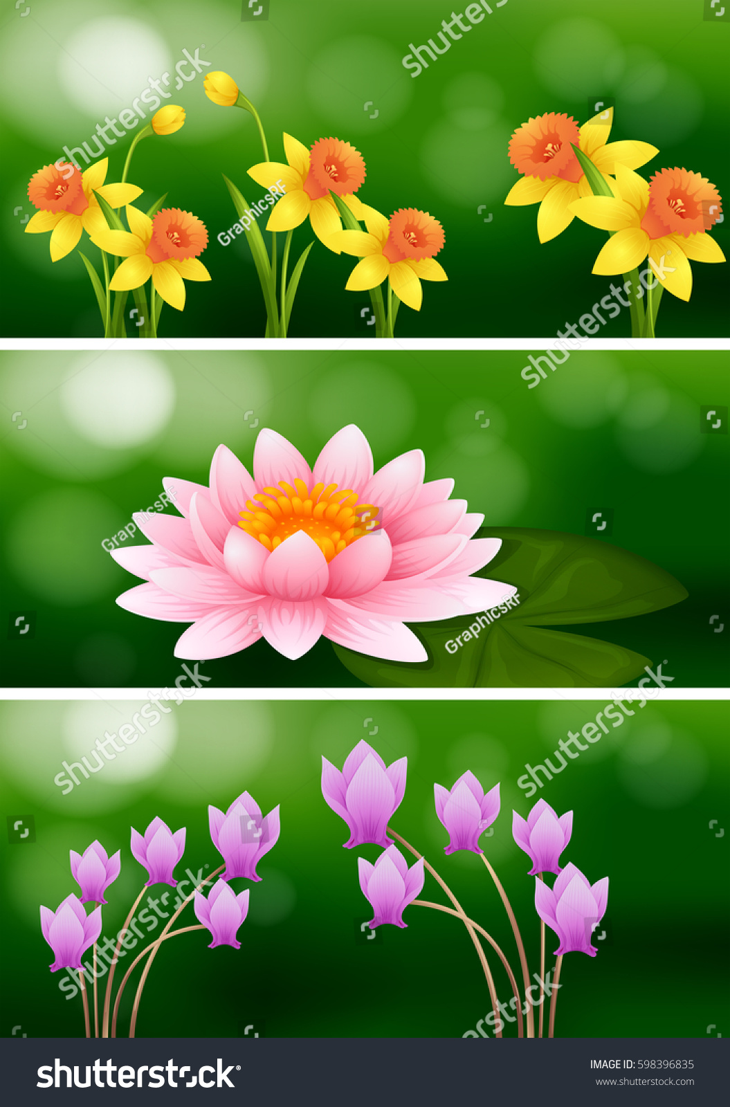 Three Scenes Three Different Flowers Illustration Stock Vector (Royalty ...