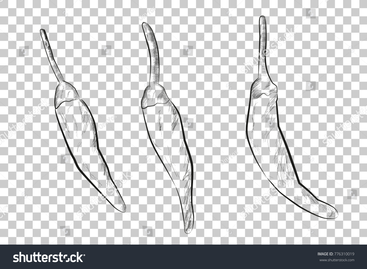 Three Small Chili Transparent Effect Background Stock Vector (Royalty ...