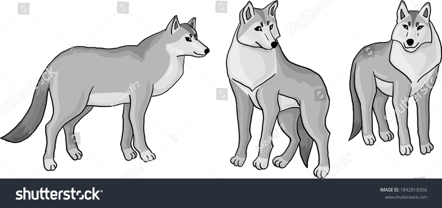 Three Wolves Vector Drawing On Transparent Stock Vector (Royalty Free ...
