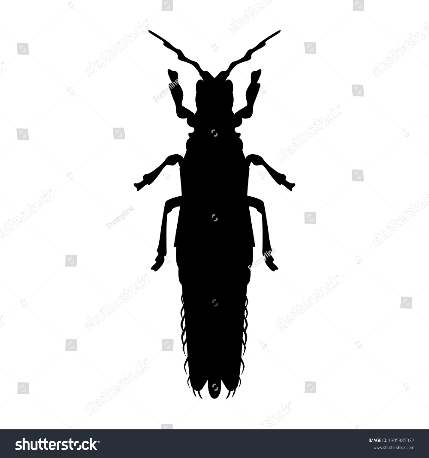 Thrip Thrips Insect Pest Vector Silhouette: เวกเตอร์สต็อก (ปลอดค่า ...