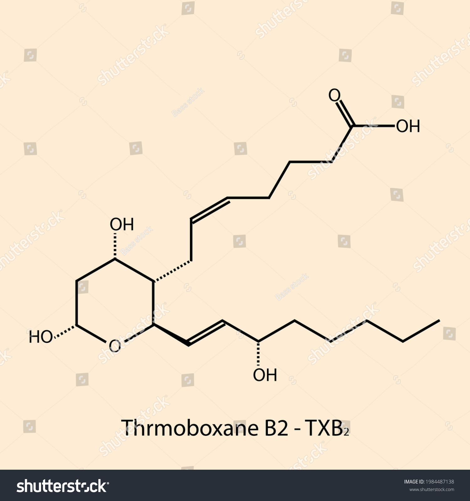 Txb2 Images, Stock Photos & Vectors | Shutterstock