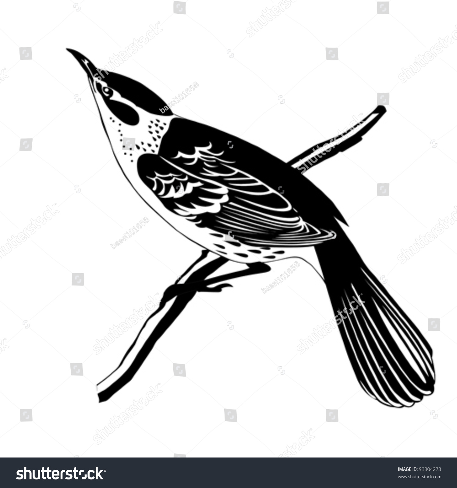Thrush Silhouette On White Background Vector Stock Vector (Royalty Free ...