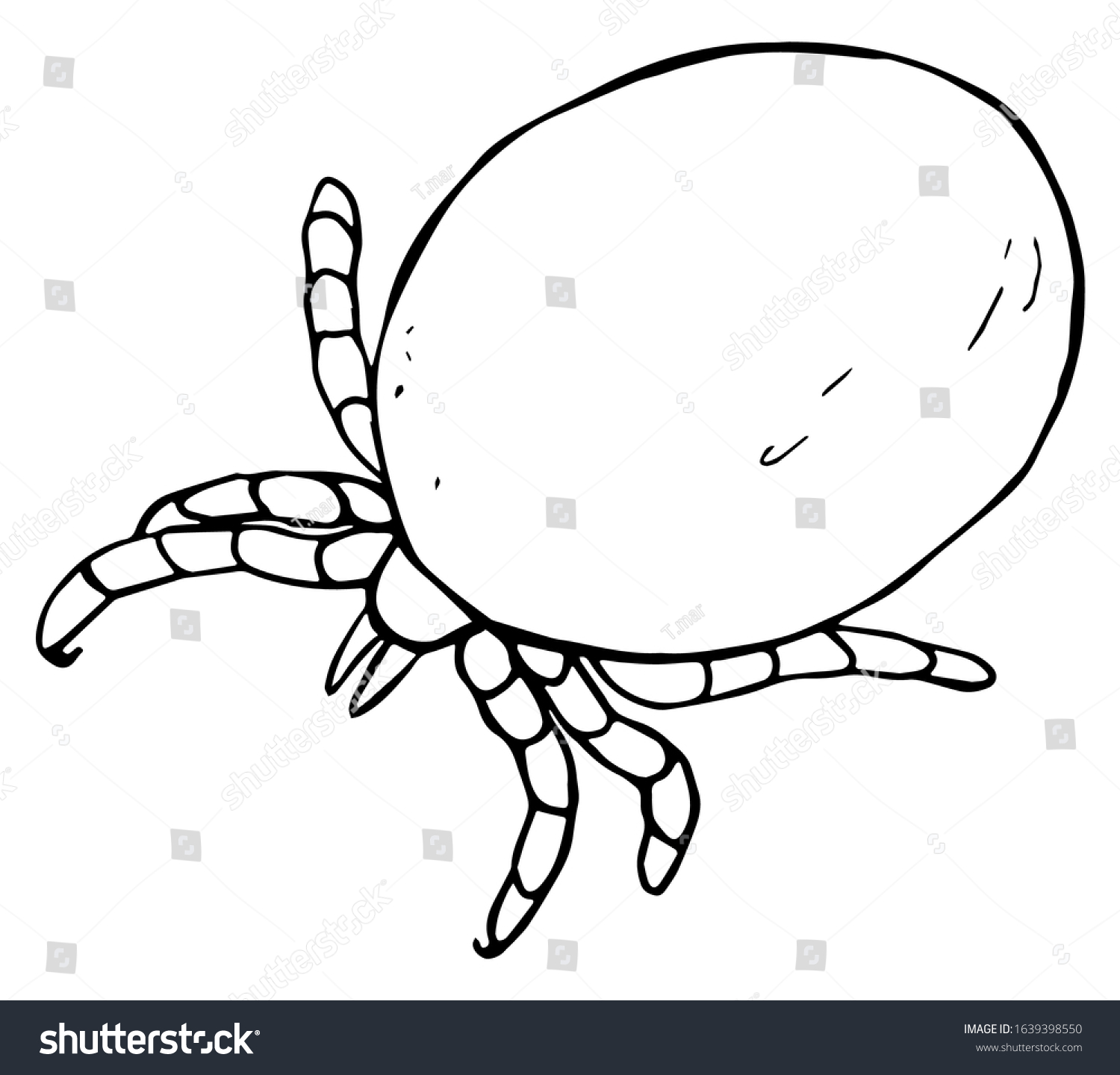 Tick Insect Full Vector Outline Illustration Stok Vektör (Telifsiz ...