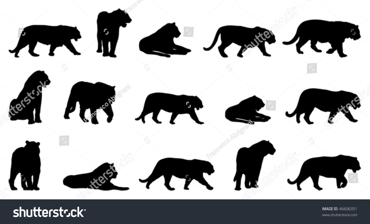 Tiger Fifteen Different Postures Stock Vector (Royalty Free) 46606351