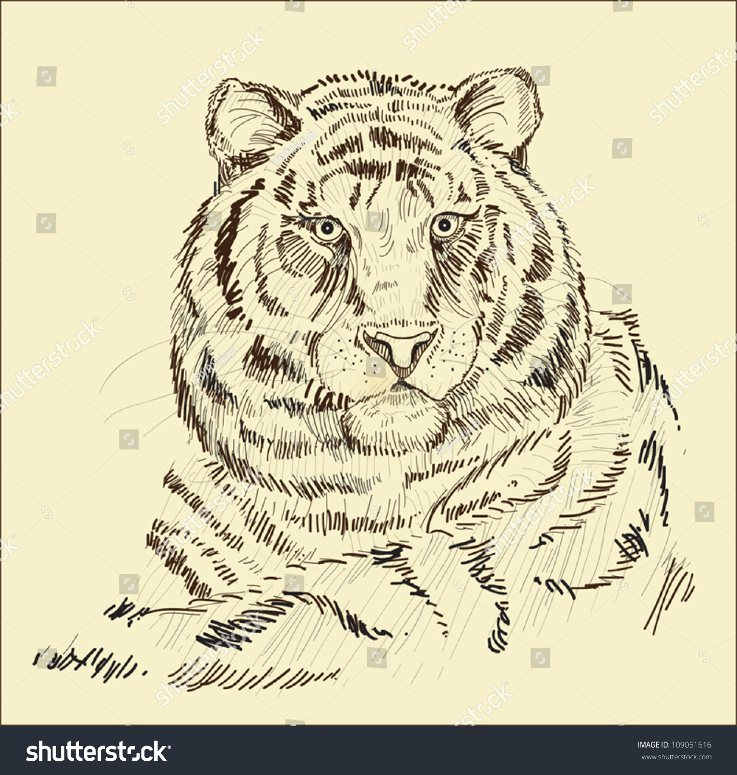 Tiger Hand Drawn Vector Illustration: vetor stock (livre de direitos ...