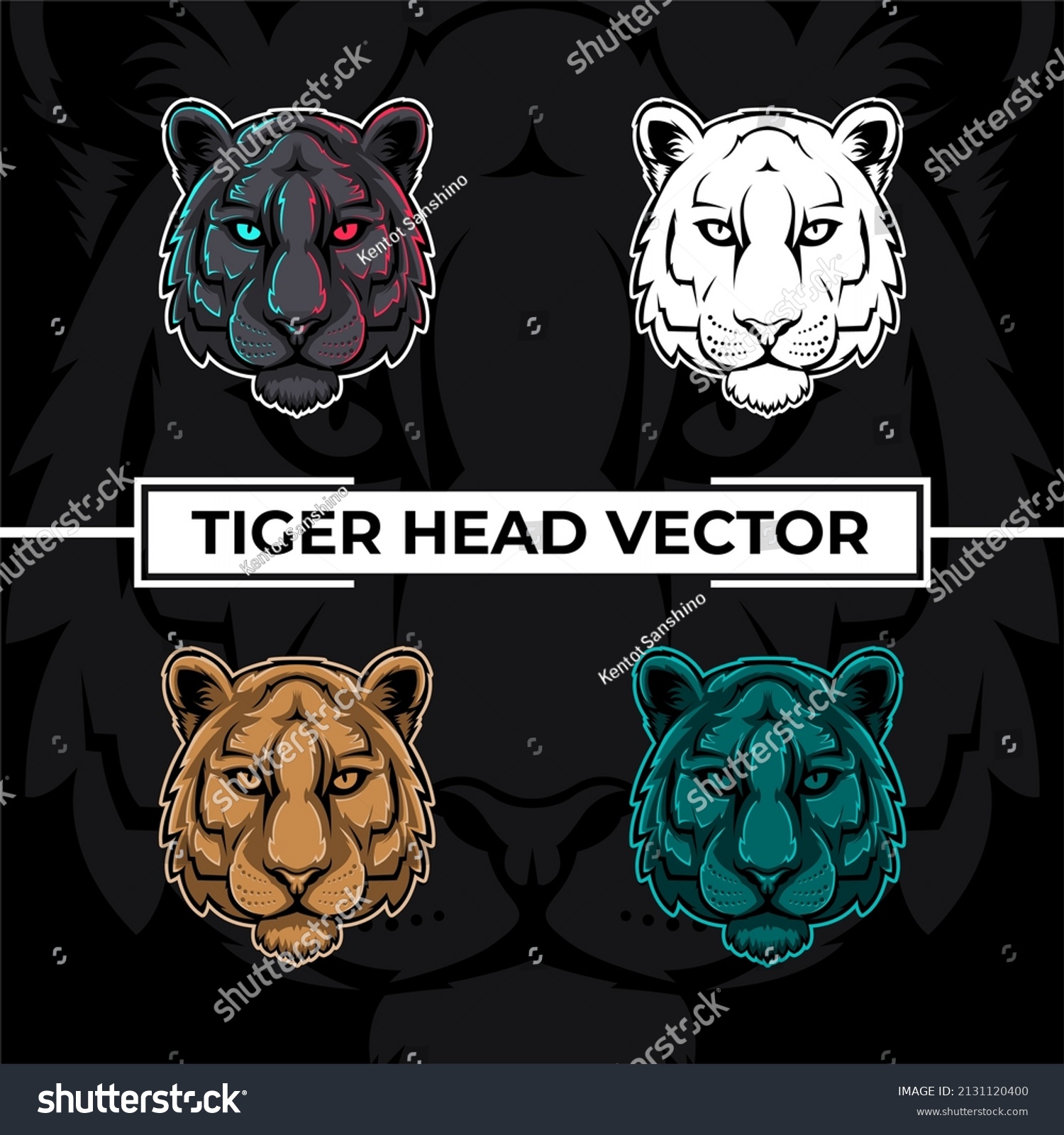 Tiger Head Close Vector Collection Stock Vector (Royalty Free ...