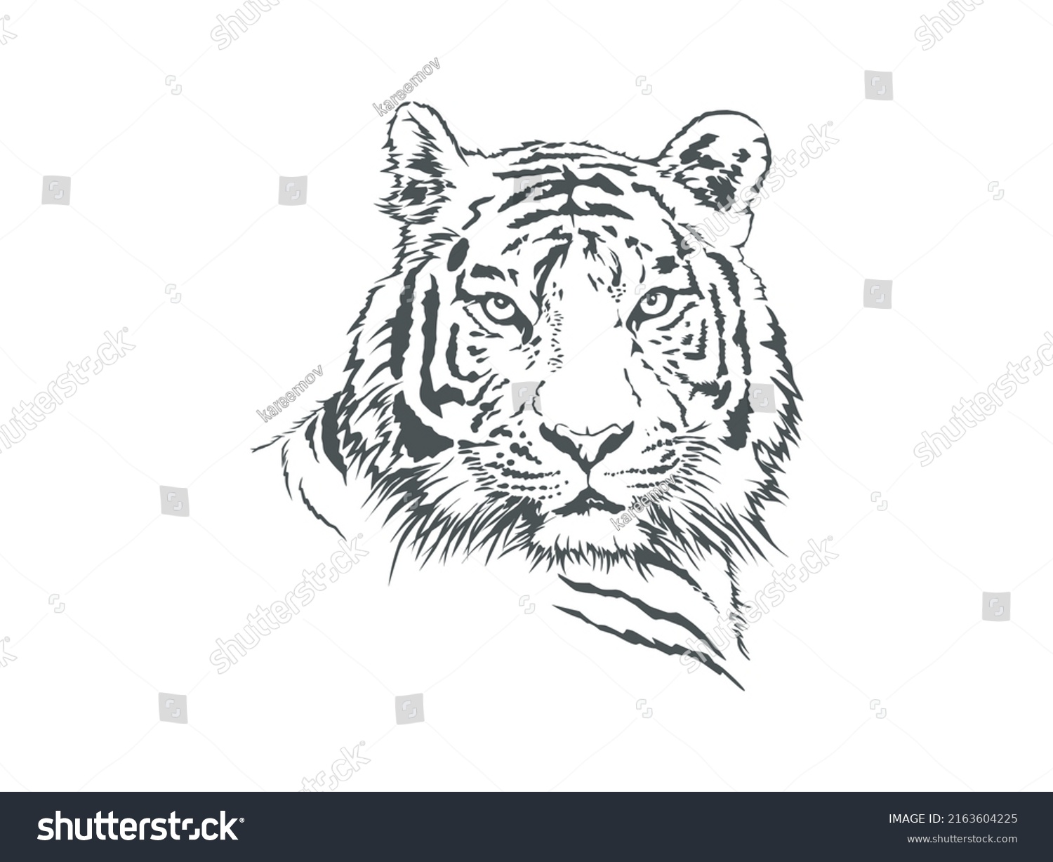 Tiger Head Hand Drawing Vector Illustrations Stock Vector (Royalty Free ...