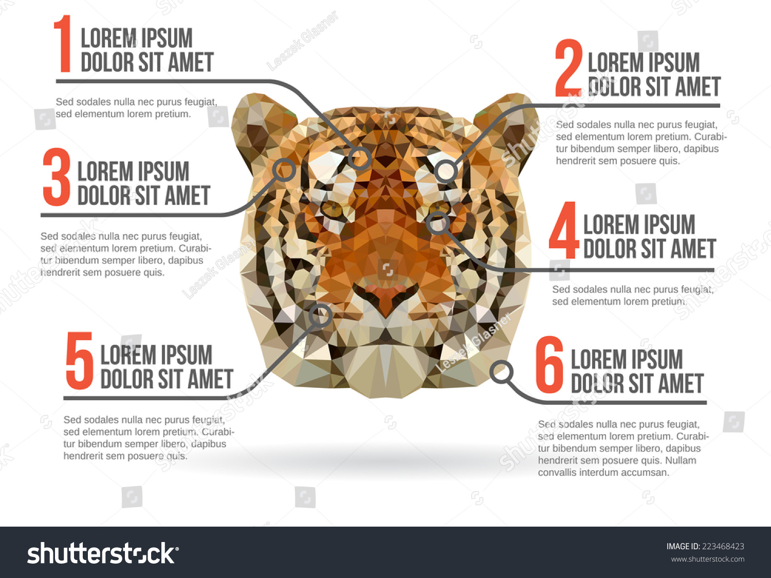 Tiger Head Infographic Vector Illustration Stock Vector (Royalty Free ...