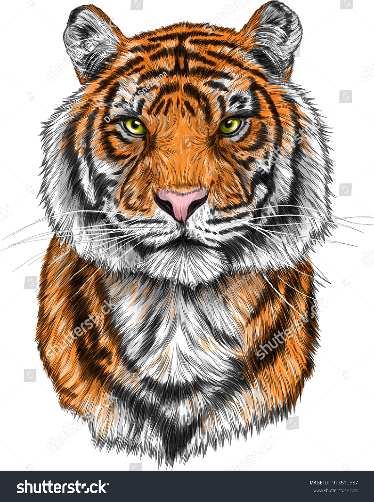 Tiger Head Portrait Drawing Vector Illustration Stock Vector (Royalty ...