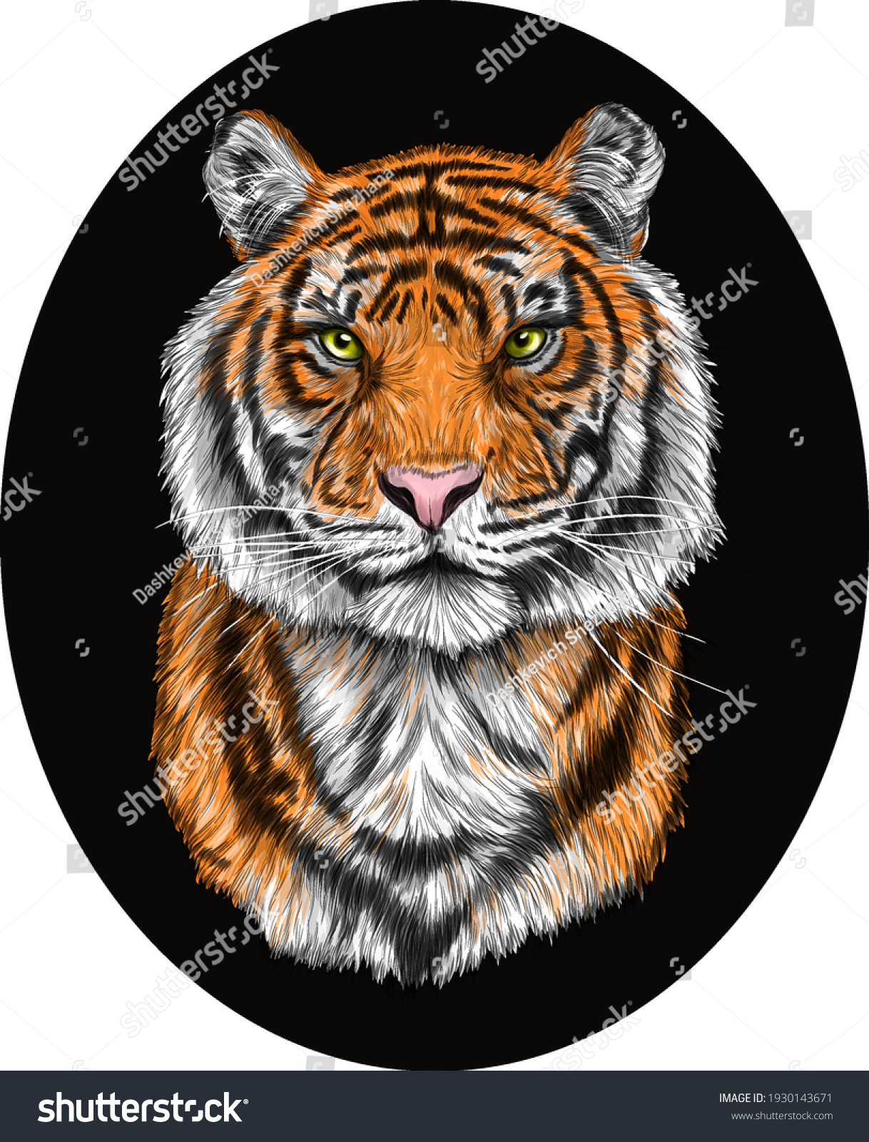 Tiger Head Portrait Drawing Vector Illustration Stock Vector (Royalty ...