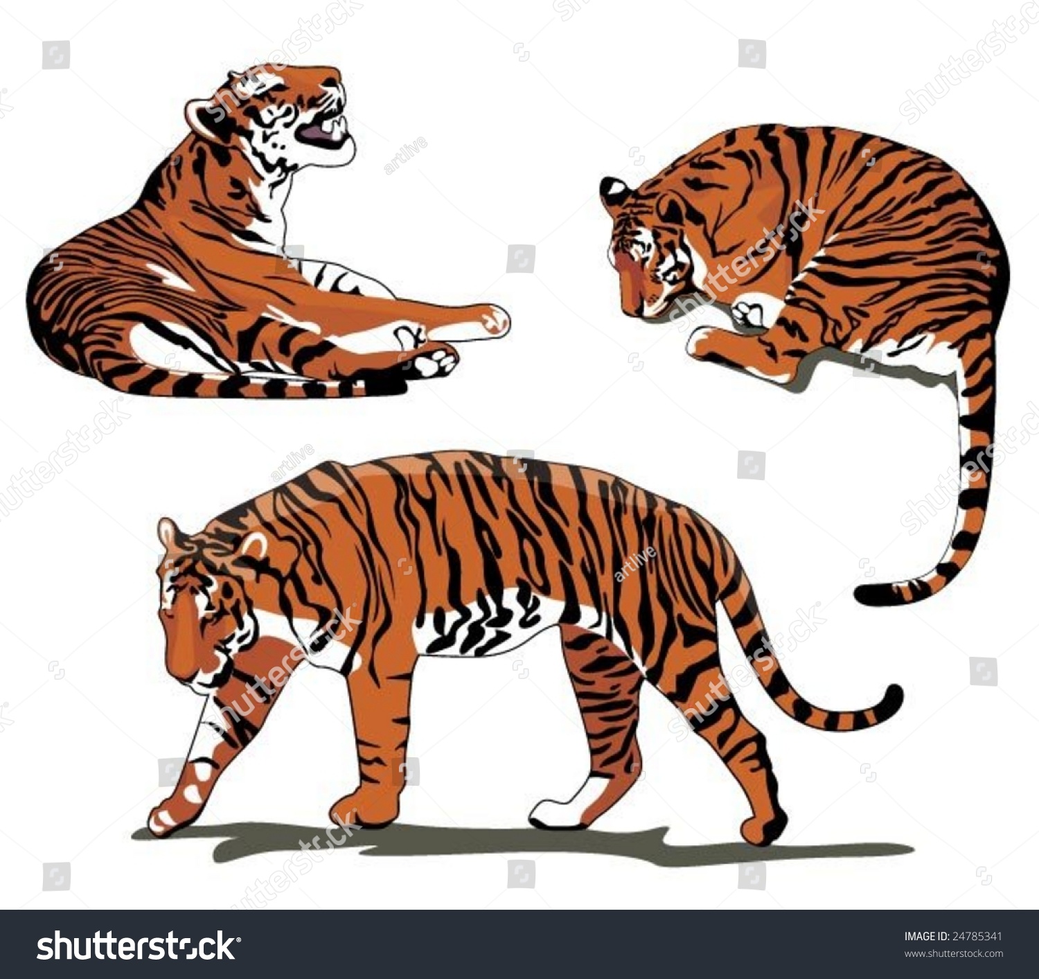 Tiger Three Poses Stock Vector (Royalty Free) 24785341 - Shutterstock