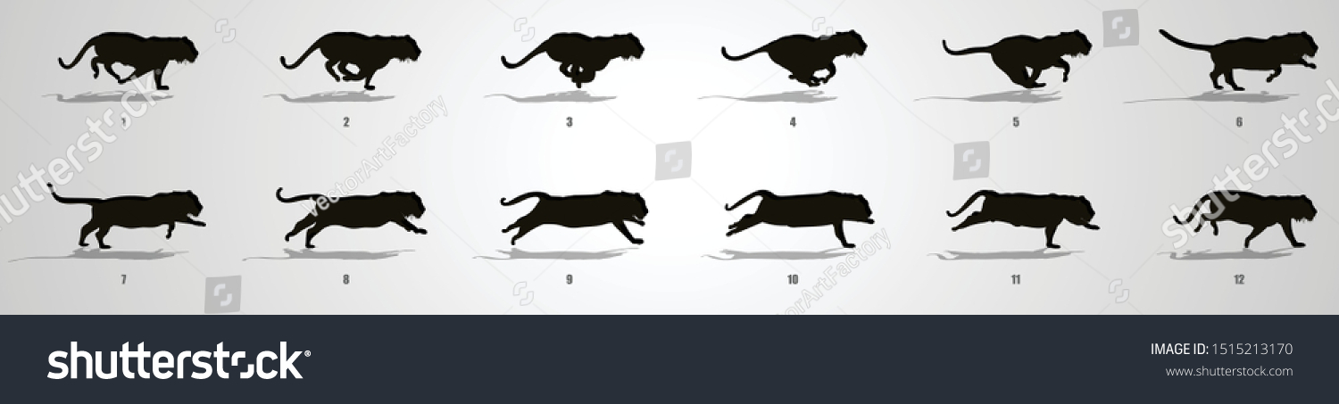 336 Panther animation 이미지, 스톡 사진 및 벡터 | Shutterstock
