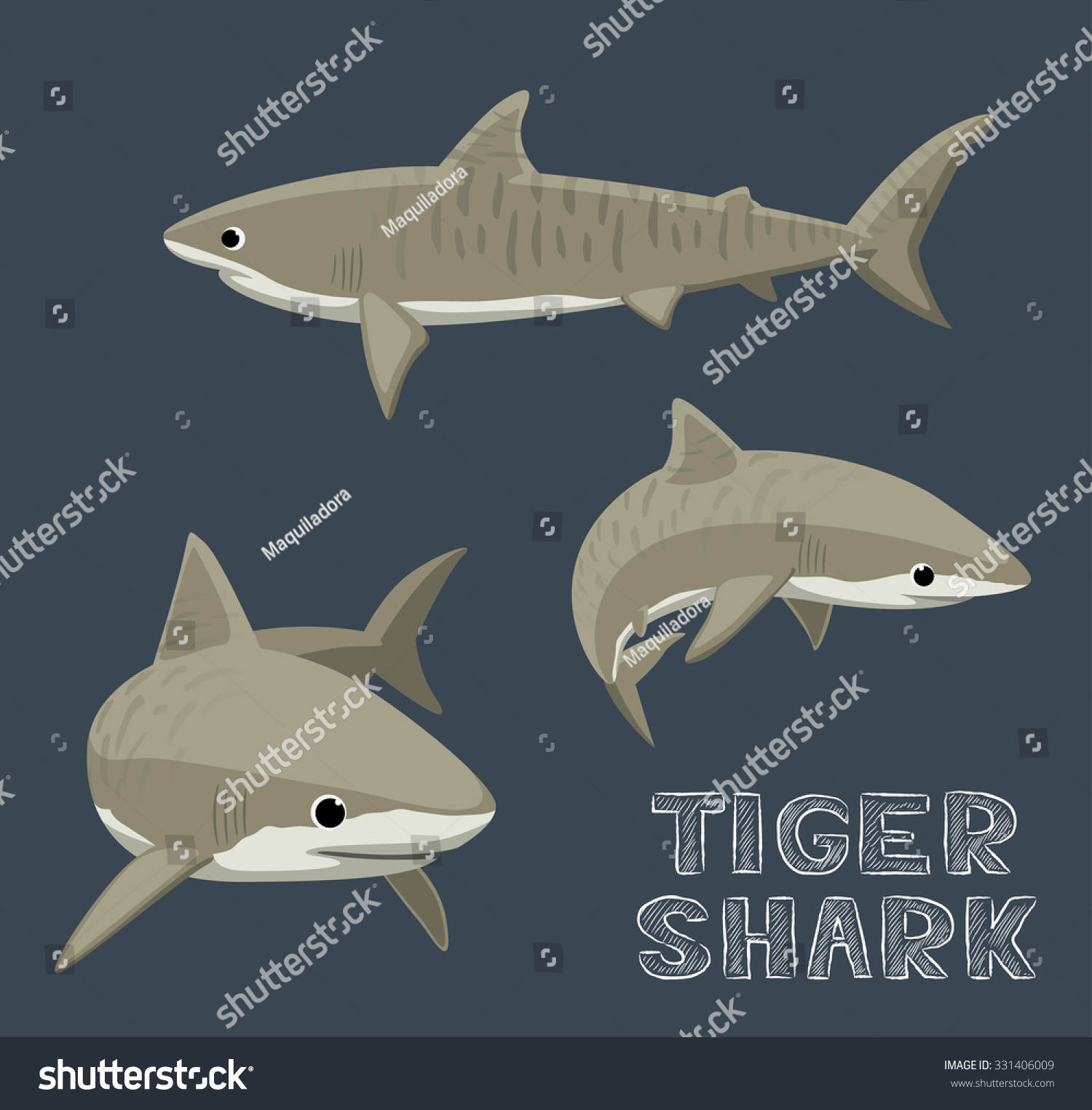 Stock vektor „Tiger Shark Cartoon Vector Illustration“ (bez autorských ...