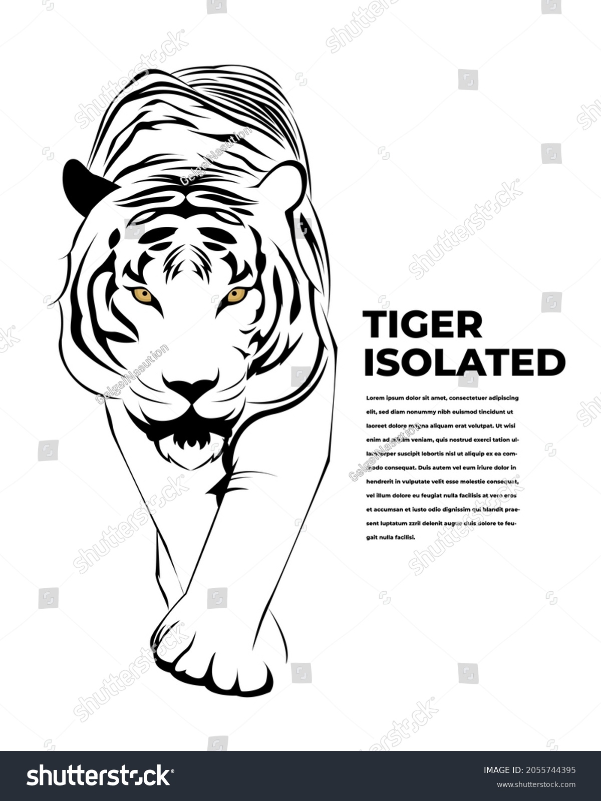 Tiger Walking Forward Vector Illustration Stock Vector Royalty Free