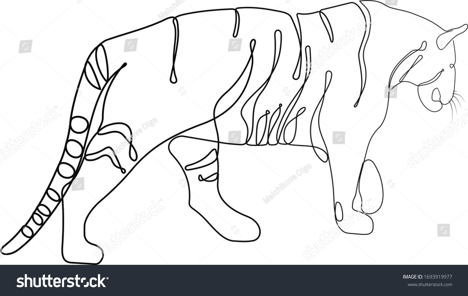 Tiger Walking One Line Drawing Continuous Stock Vector (Royalty Free ...