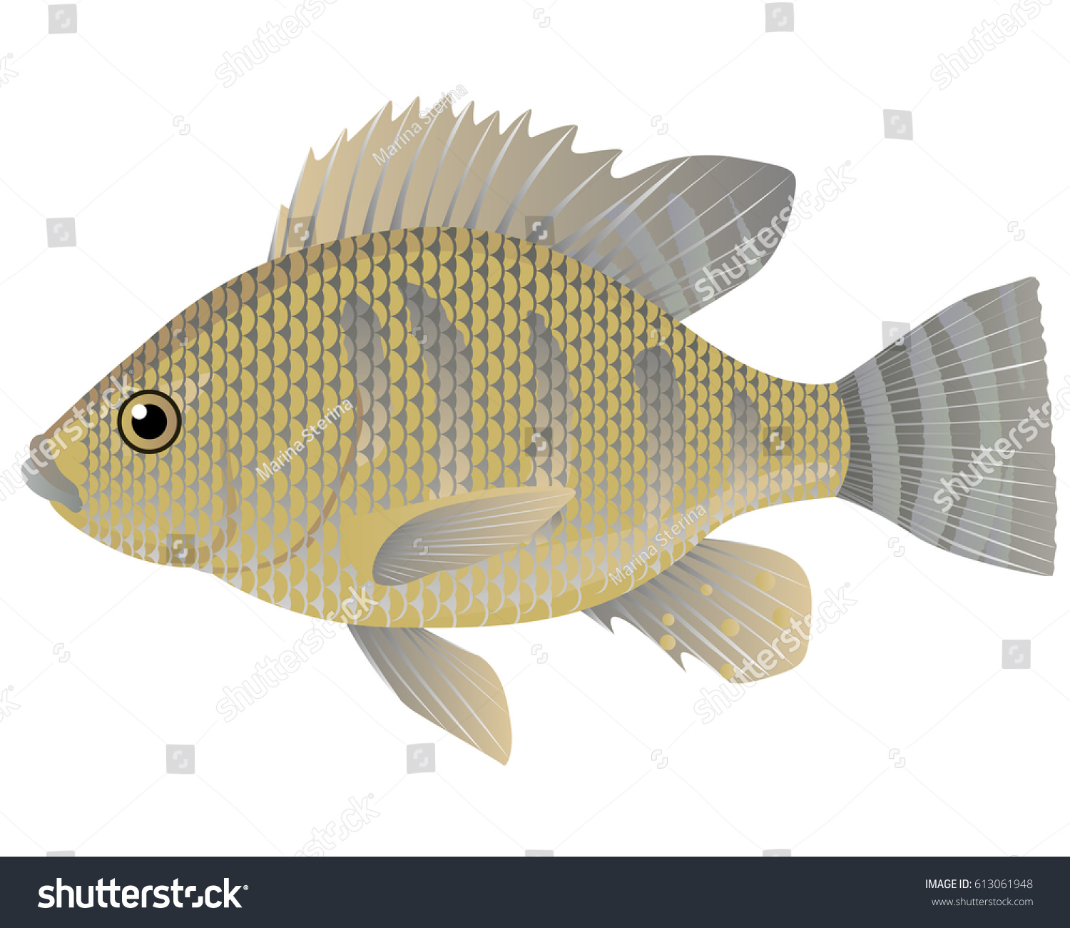 Tilapia Fish Cartoon Vector Illustration: เวกเตอร์สต็อก (ปลอดค่า ...