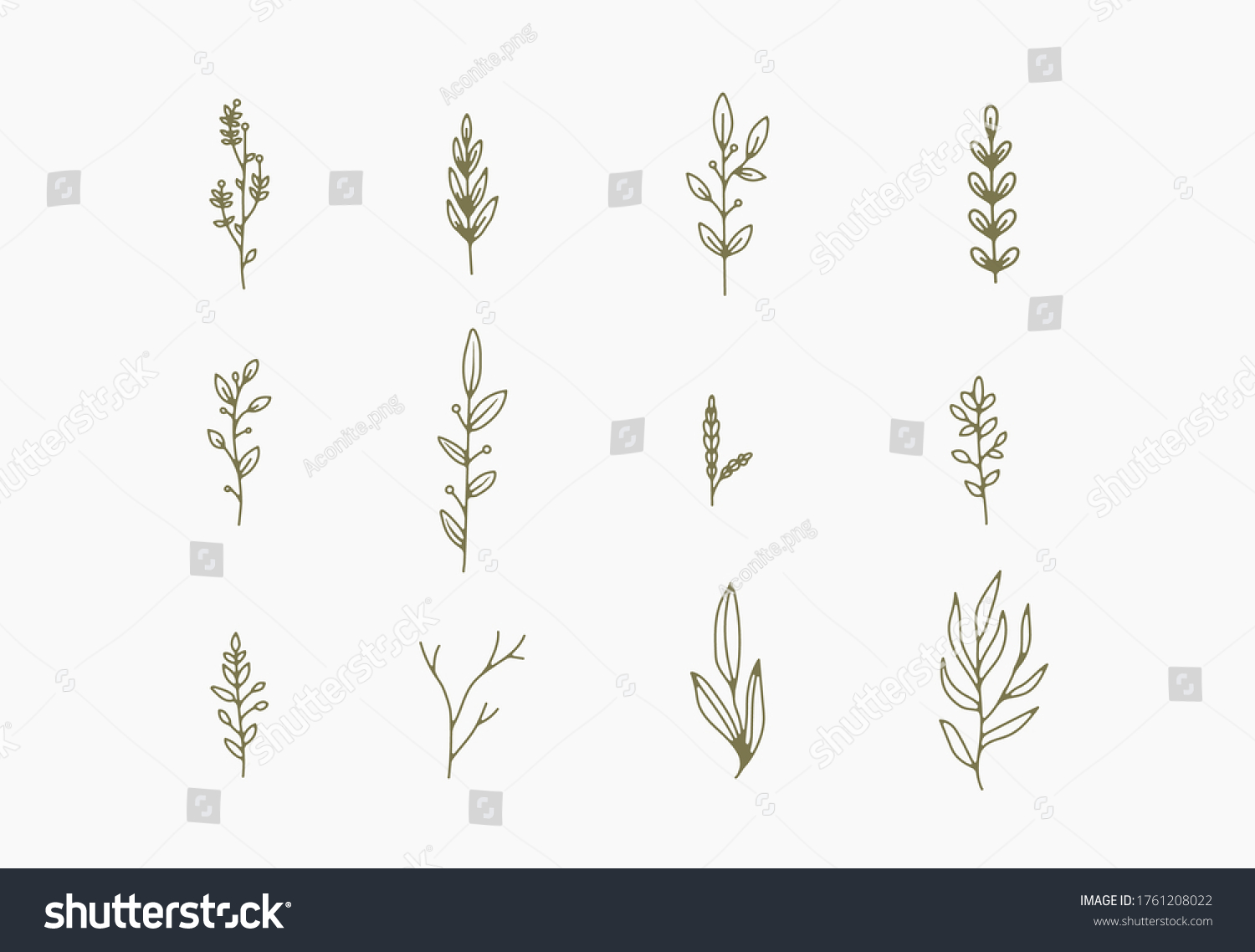 Tiny Simple Botanical Illustrations Line Artwork Stock Vector (Royalty ...