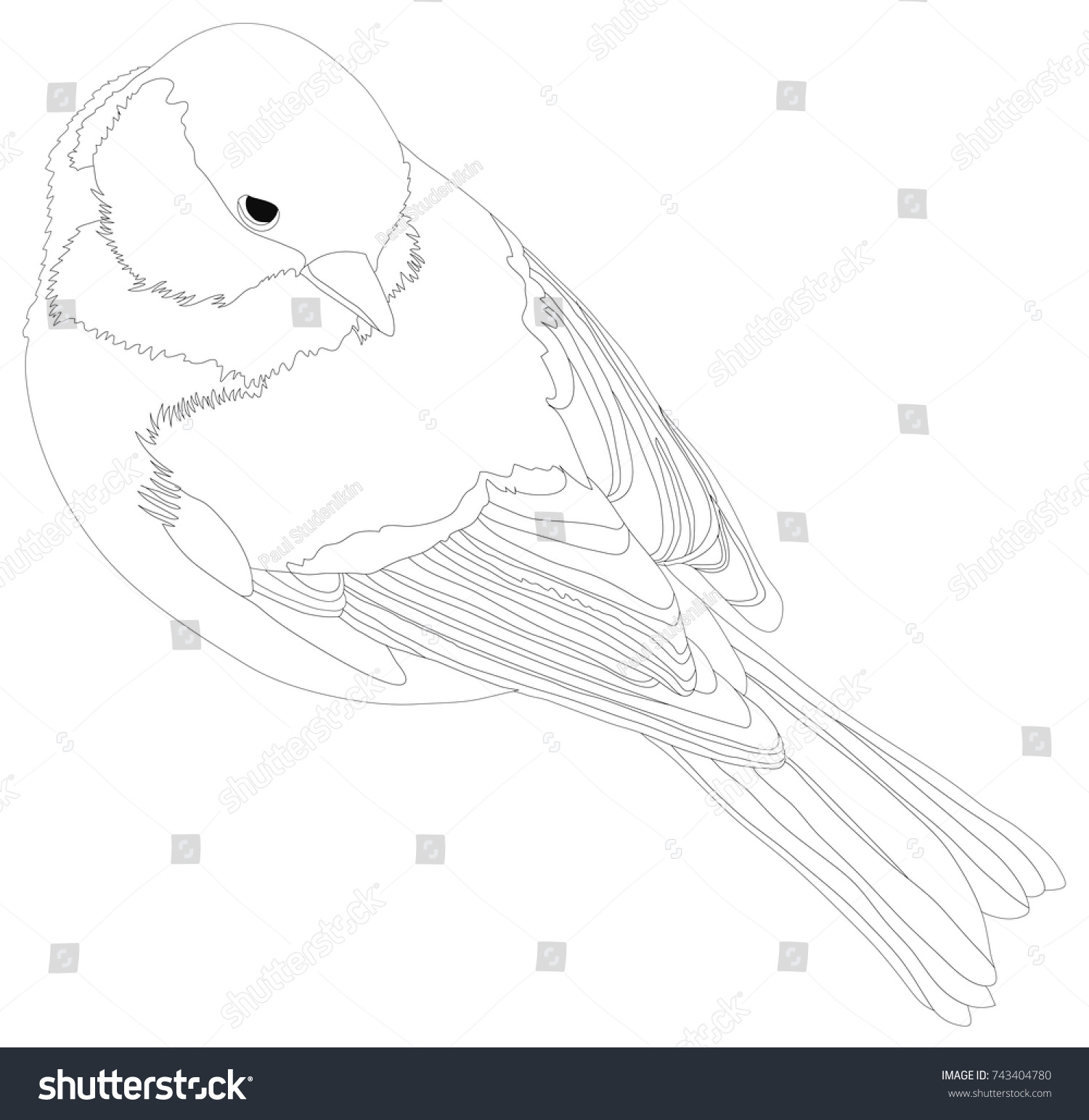 Titmouse Birds Coloring Book Vector Stock Vector (Royalty Free) 743404780