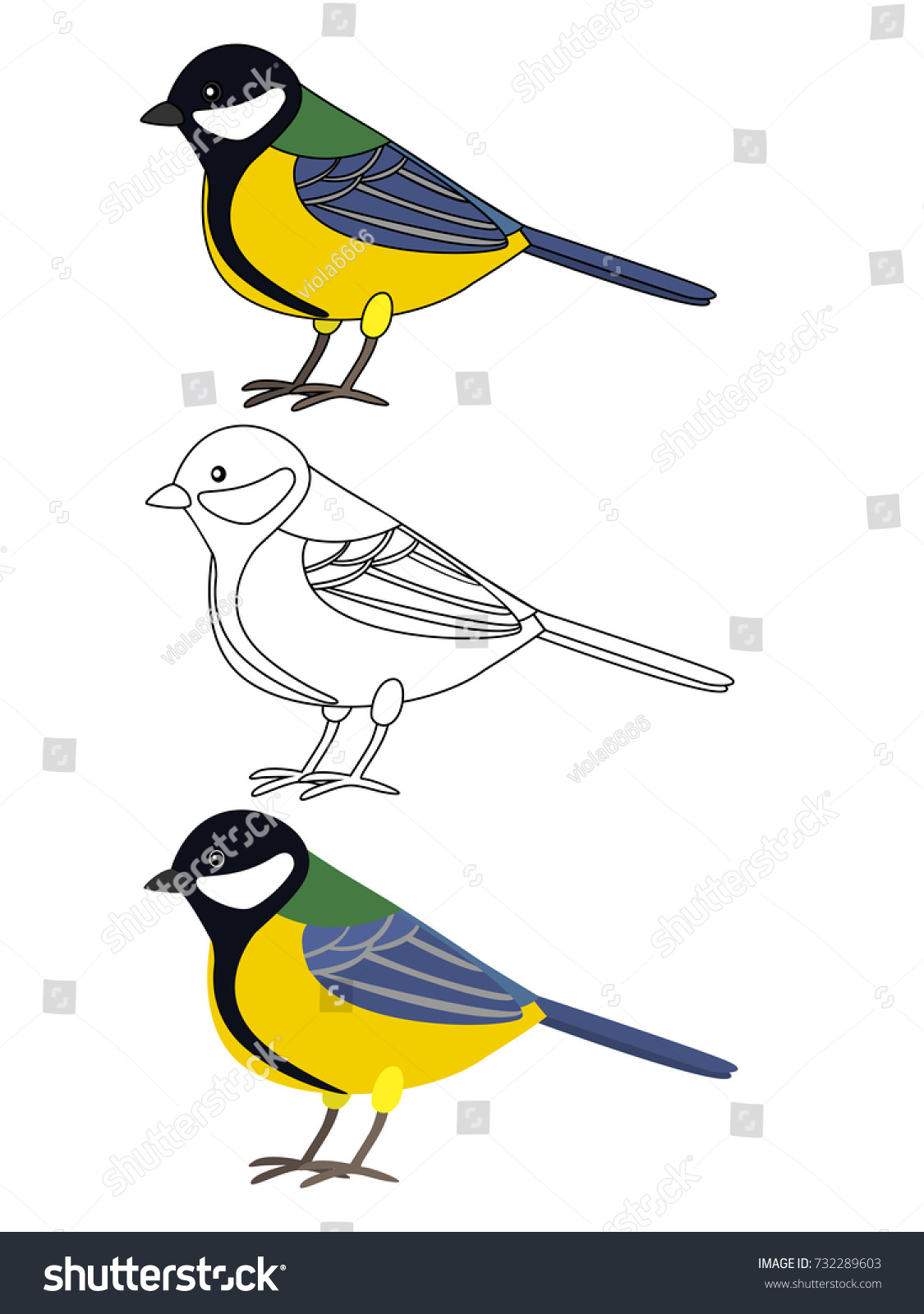 Titmouse Set Outline Coloring Page: เวกเตอร์สต็อก (ปลอดค่าลิขสิทธิ์ ...