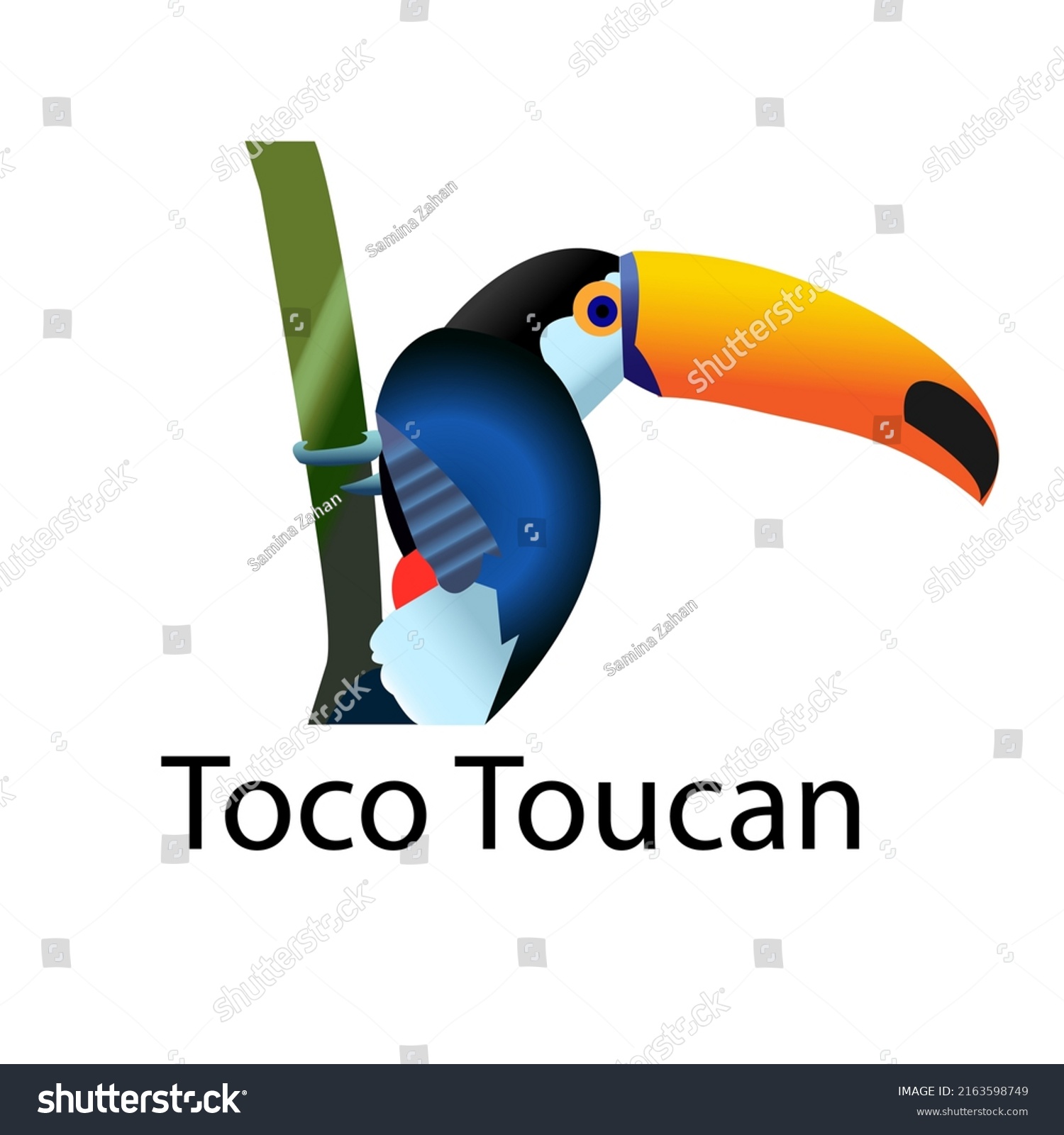 Toco Toucan Bird Vector Illustration Stock Vector (Royalty Free ...