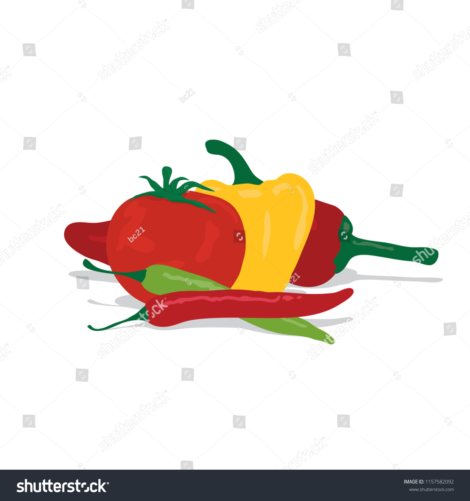 Tomato Peppers Vector Stock Vector (Royalty Free) 1157582092 | Shutterstock