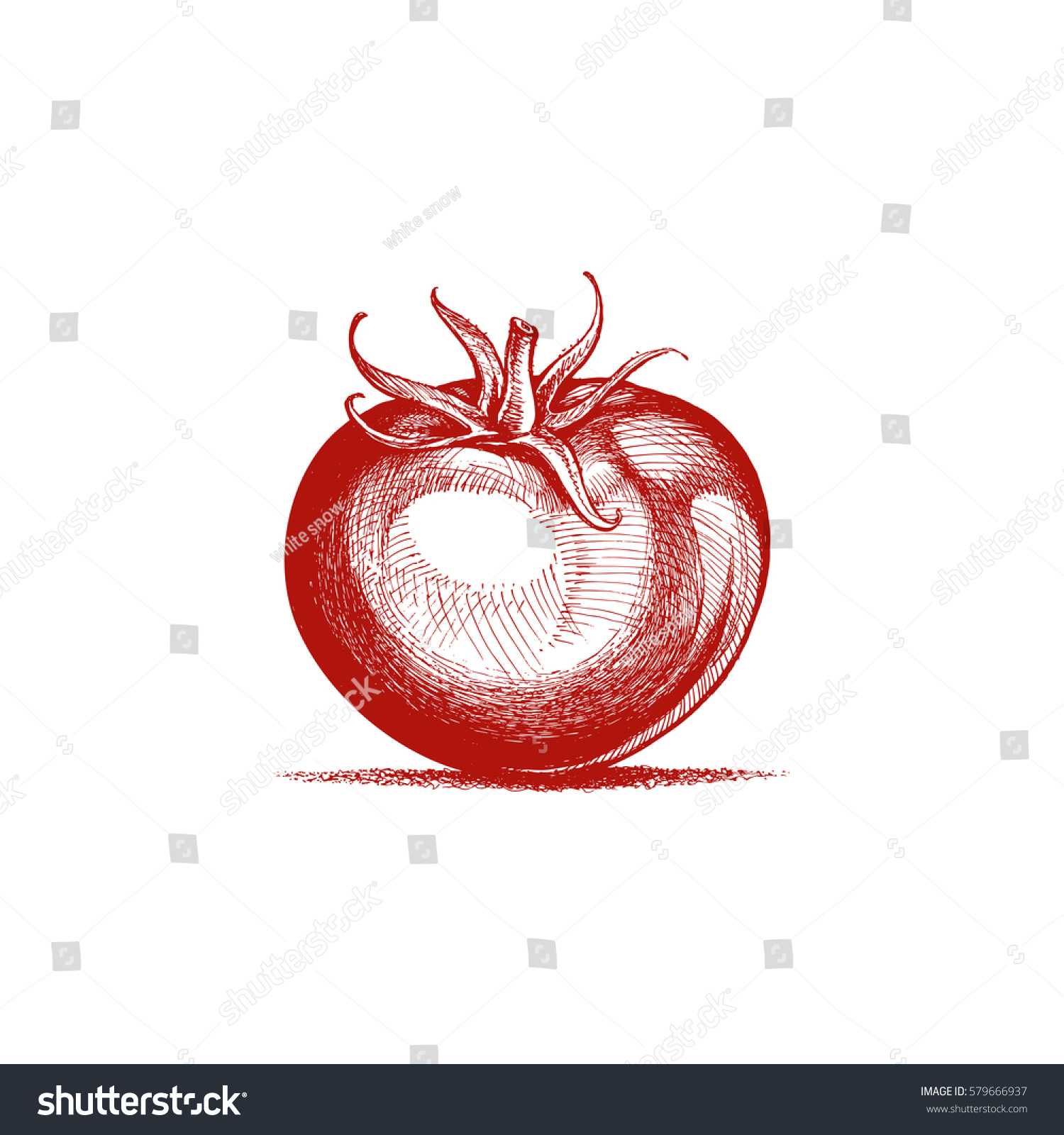 25,930 Red tomato drawing Images, Stock Photos & Vectors | Shutterstock
