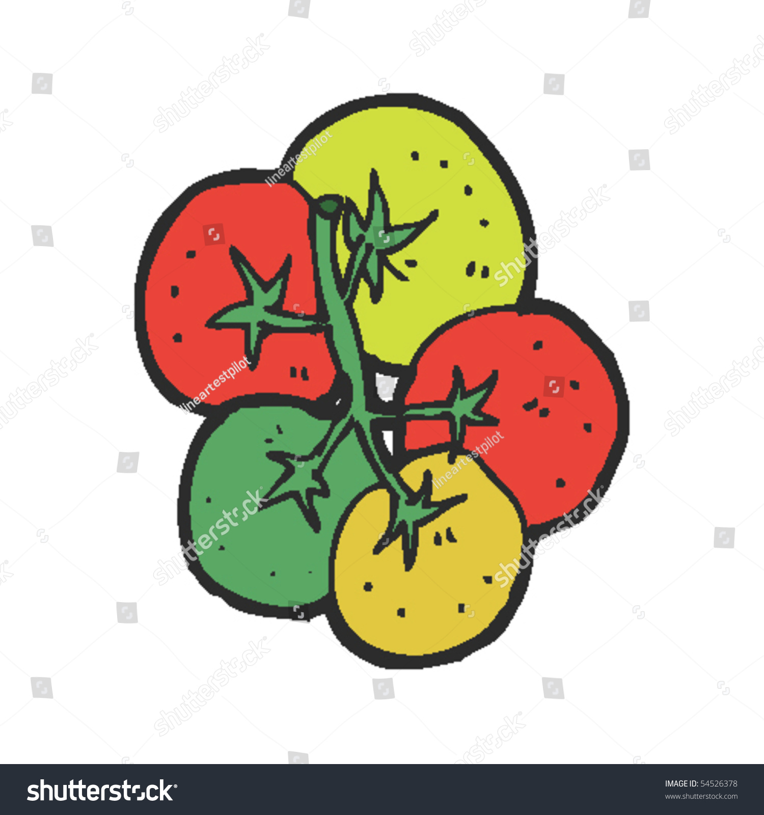 Tomato On Vine Drawing Stock Vector Illustration 54526378 : Shutterstock