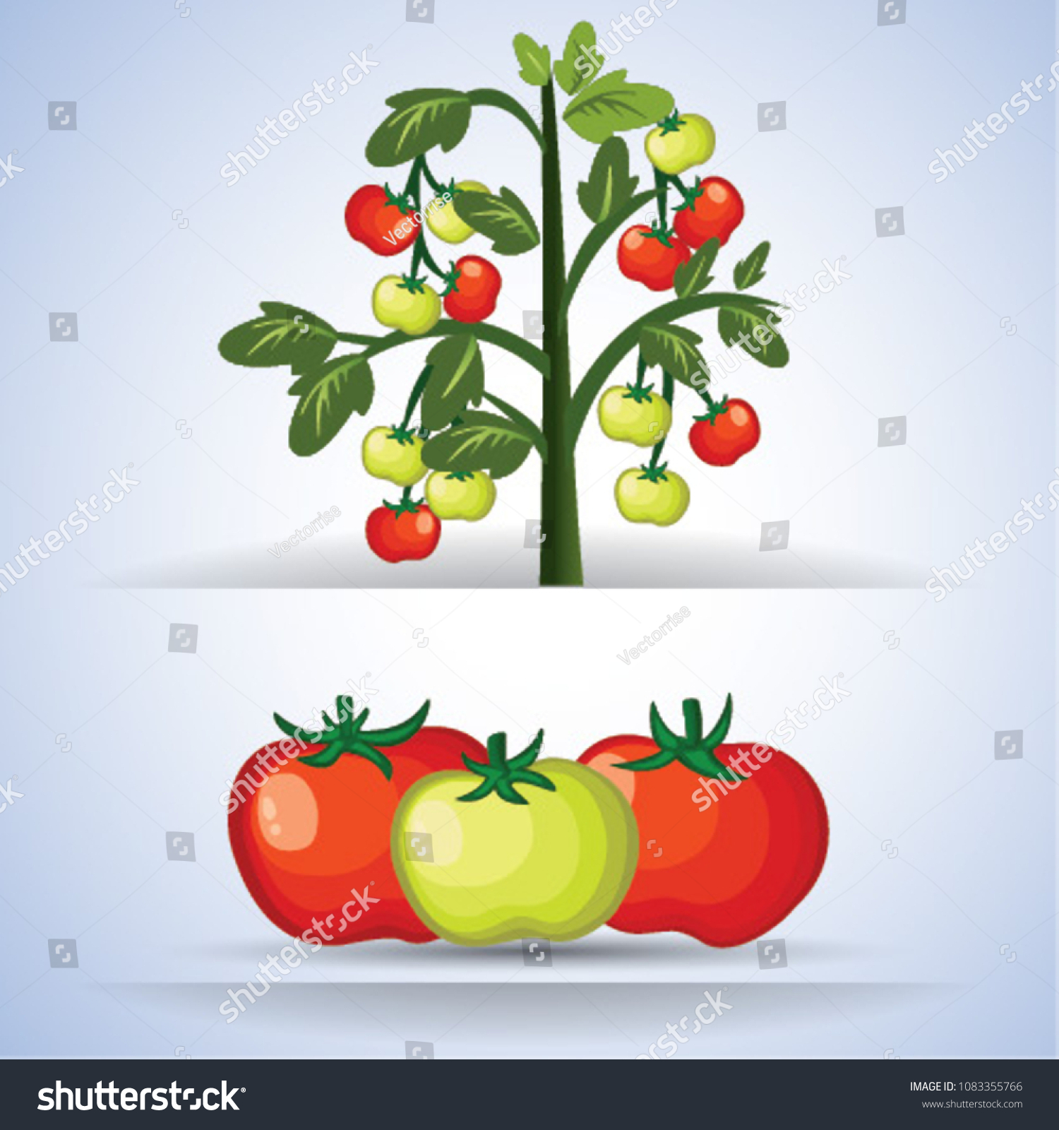 Tomato Plant Icon Vector Illustration Stock Vector (Royalty Free ...