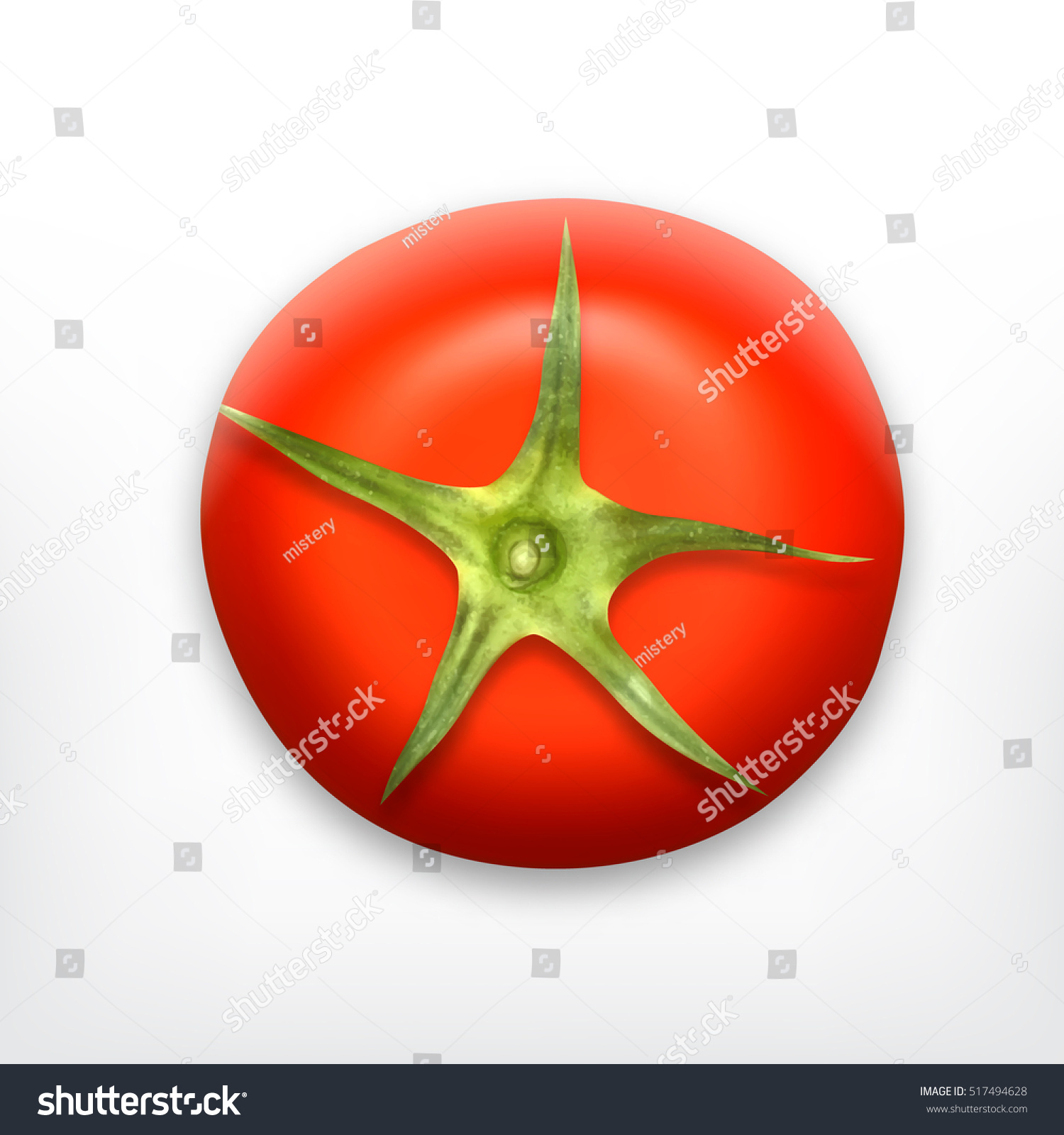 11.117 vetores de Tomato top view Vetores, imagens e arte vetorial ...