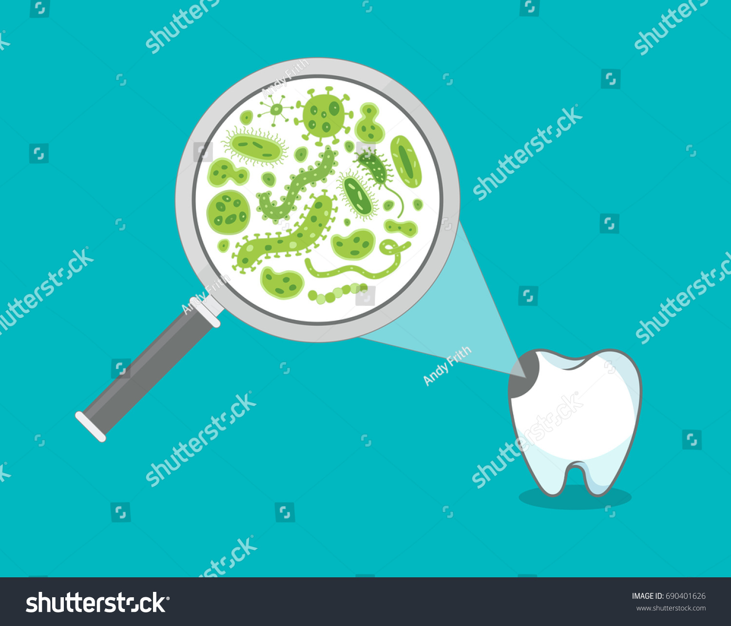 Tooth Germs Vector Flat Illustration: vector de stock (libre de ...