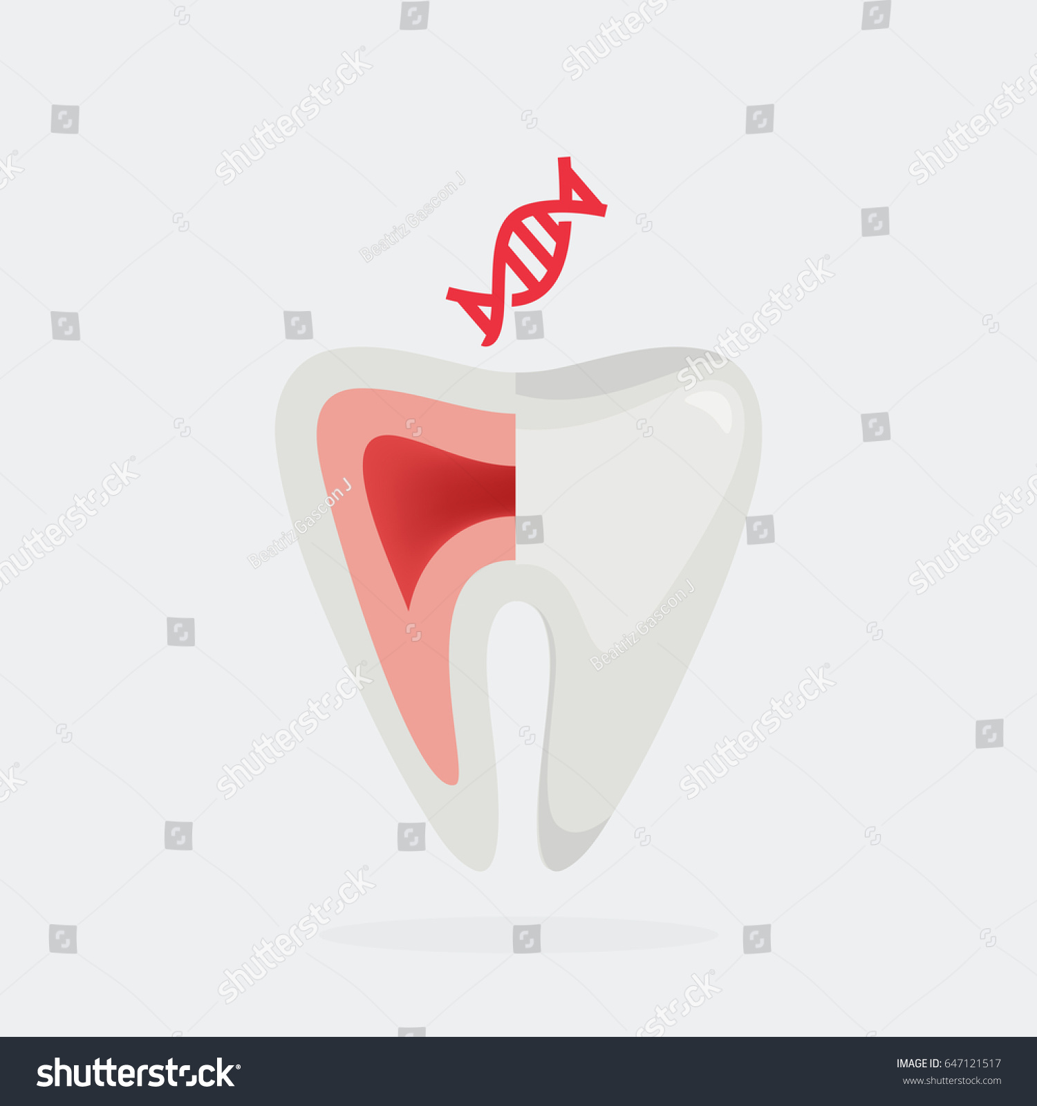 Tooth Vector Illustration Dna Stock Vector (Royalty Free) 647121517