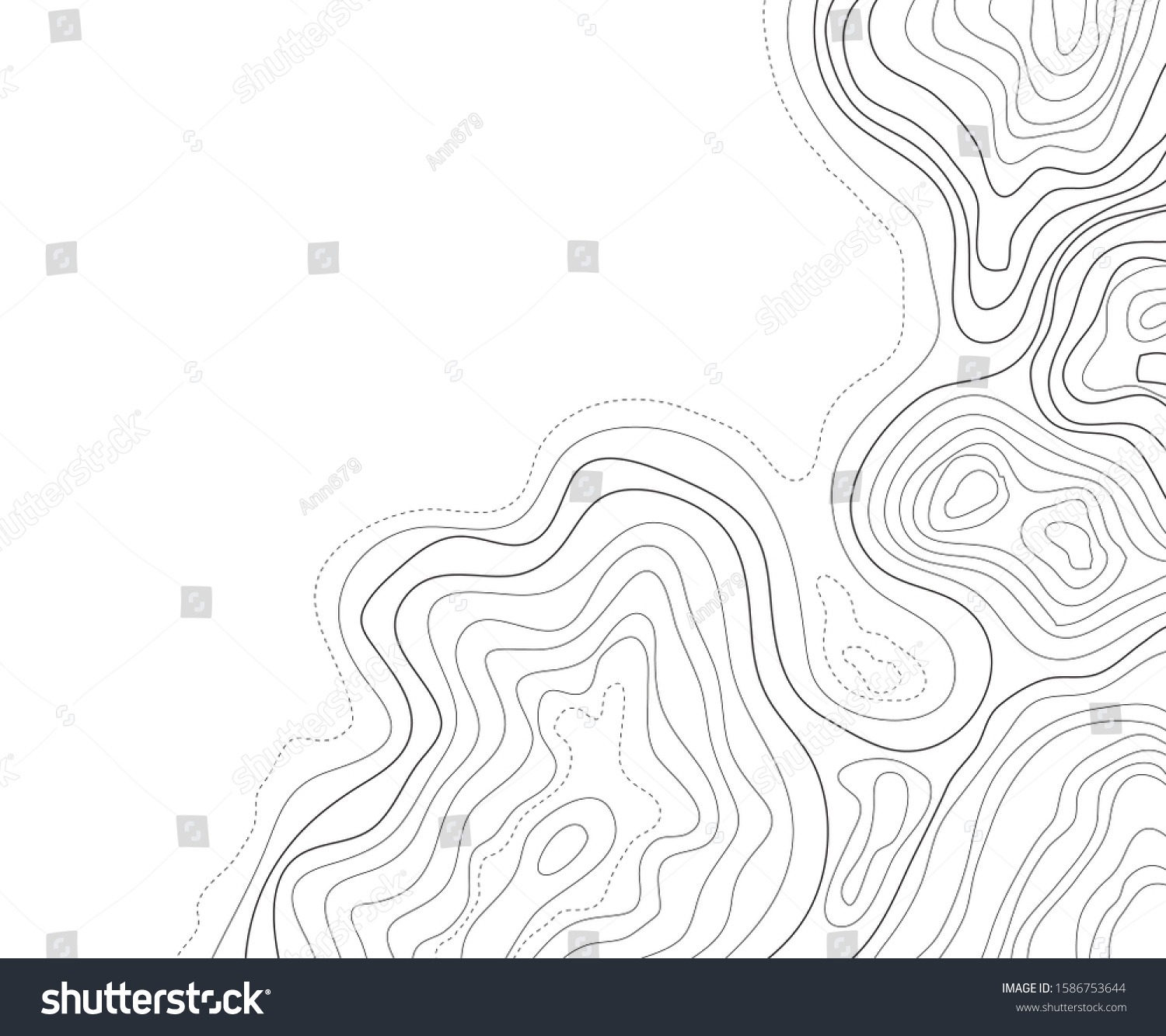 Topographic Map Abstract Elevation Lines Isolated Stock Vector (Royalty ...