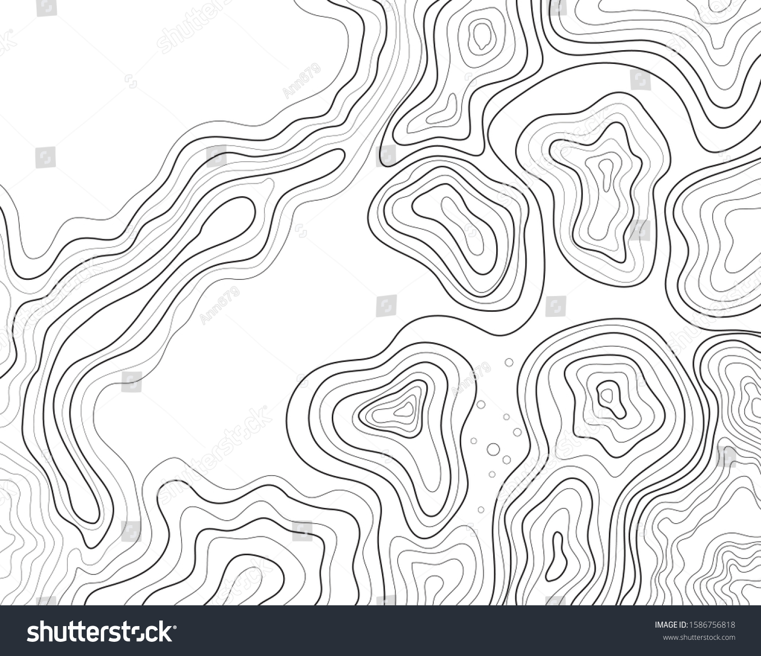 Topographic Map Abstract Elevation Lines Isolated: vector de stock ...