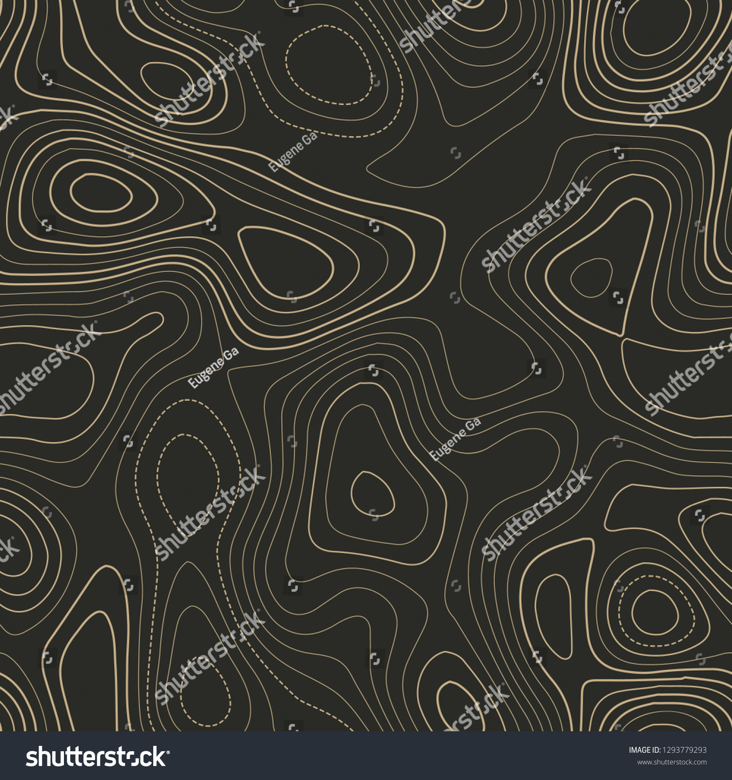 Topographic Map Lines Actual Topography Map Stock Vector (Royalty Free ...