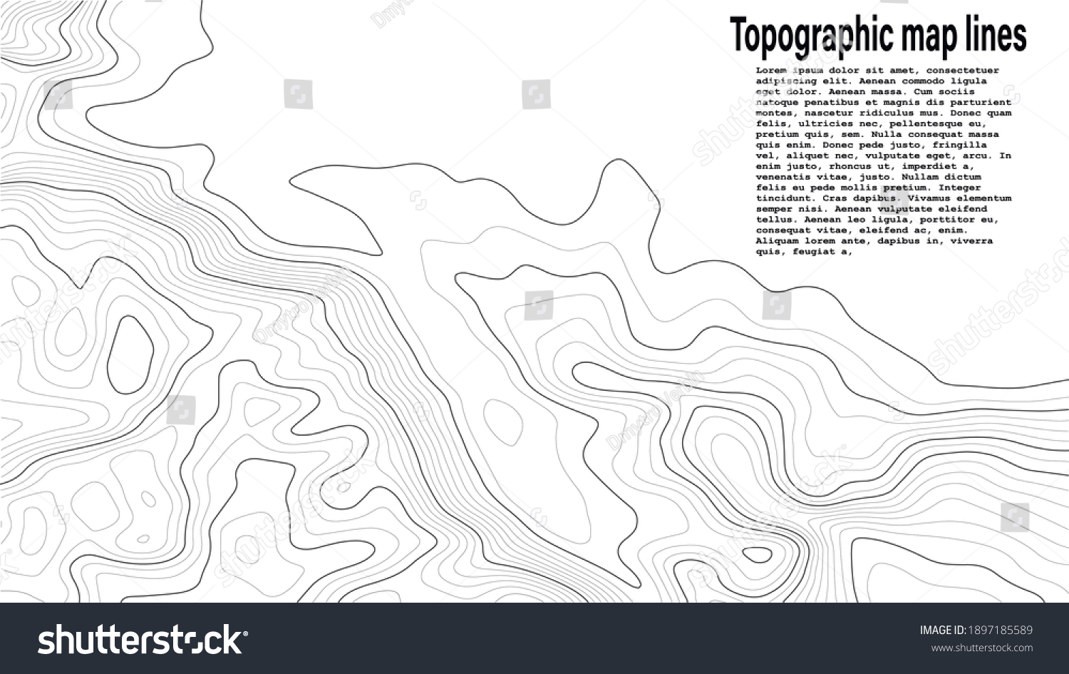 Topographic Map Textwhite Backgroundvector Illustration Stock Vector ...