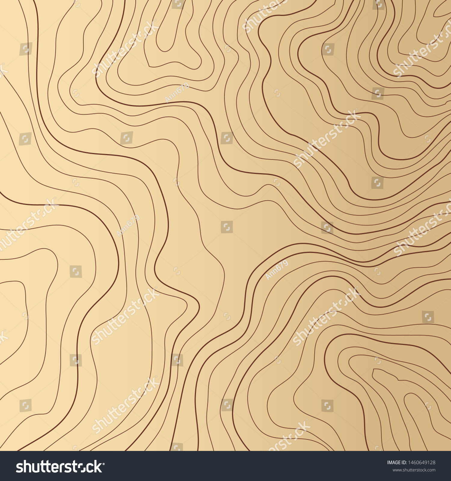 Topographic Maps Abstract Height Lines On: เวกเตอร์สต็อก (ปลอดค่า ...