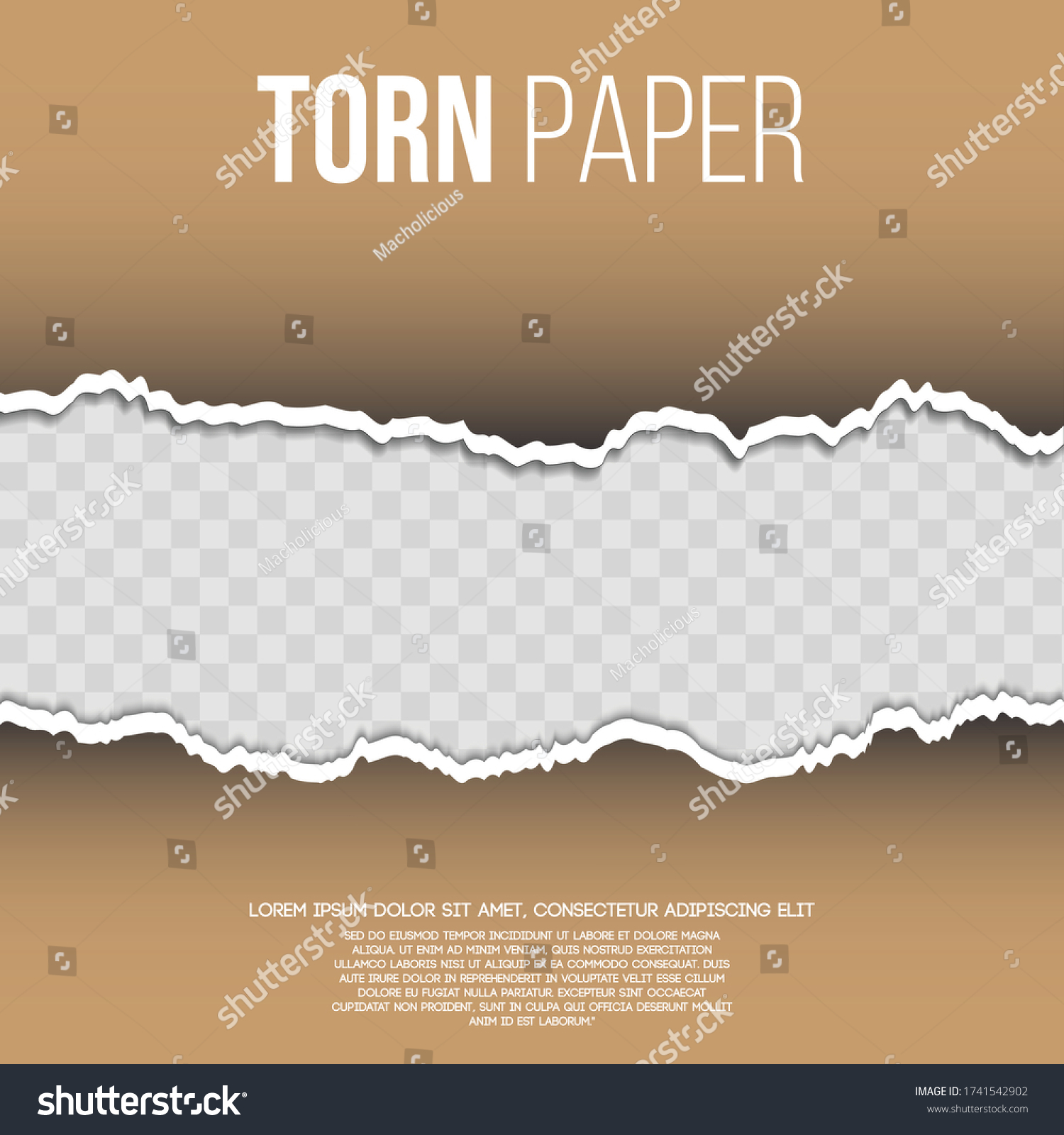 Torn Paper Down Vector Template Paper Stock Vector (Royalty Free ...