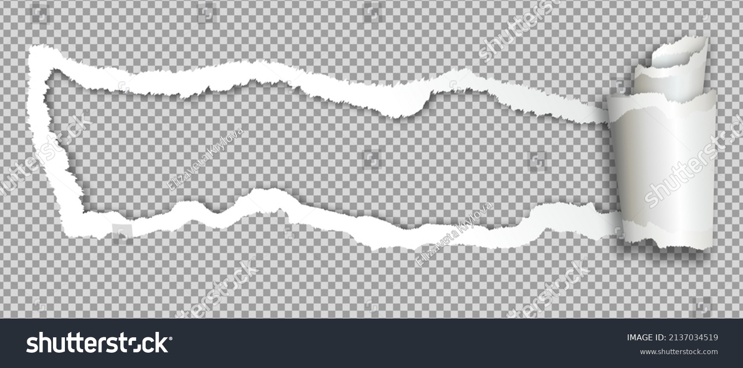 Torn Paper Vector Realistic Illustration Stock Vector (Royalty Free ...