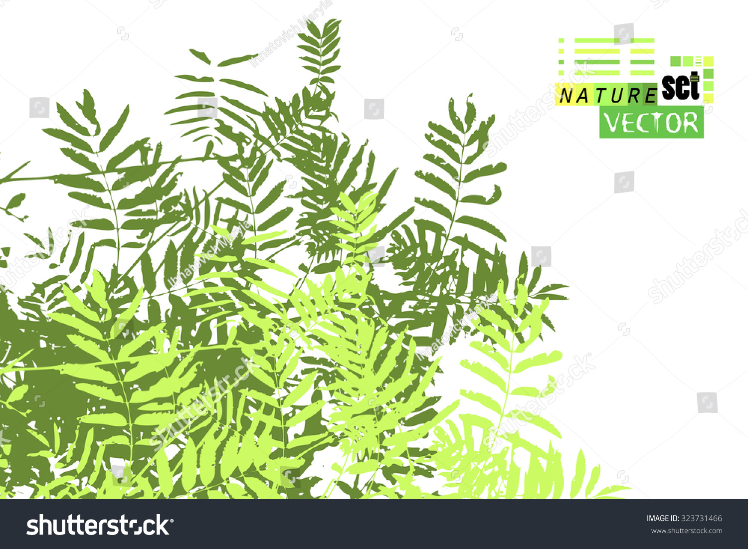 Tracing Branch Leaves Vector Stock Vector (Royalty Free) 323731466