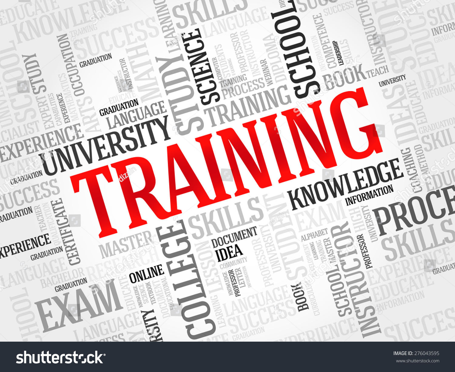 Training Word Cloud Business Concept Stock Vector (Royalty Free ...