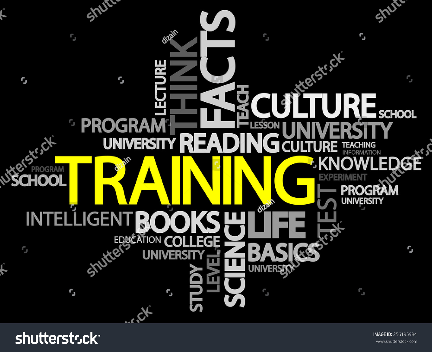 Training Word Cloud Education Concept Stock Vector (Royalty Free ...