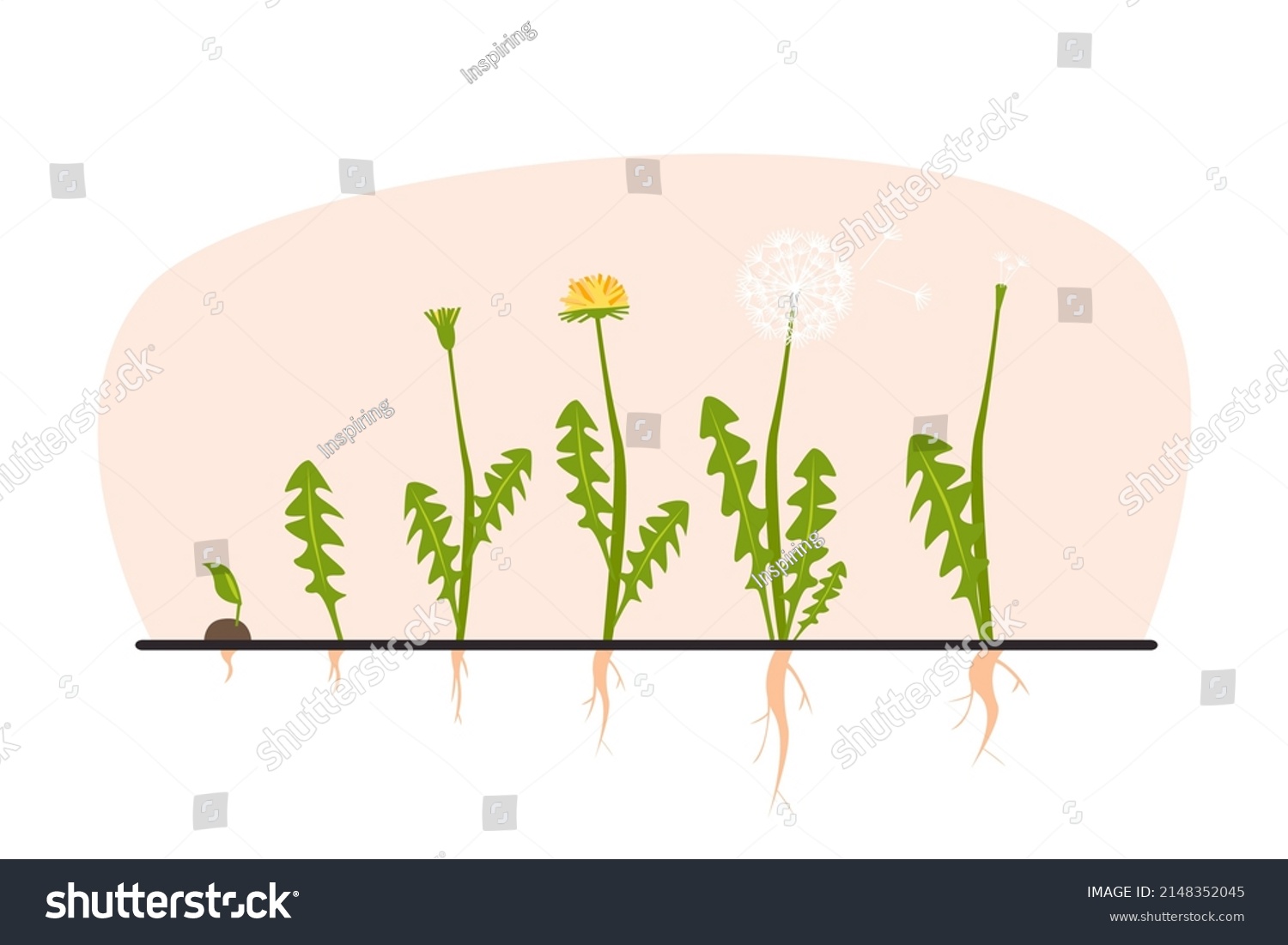 Transforming Concept Transformation Metaphor Changing Evolution Stock ...