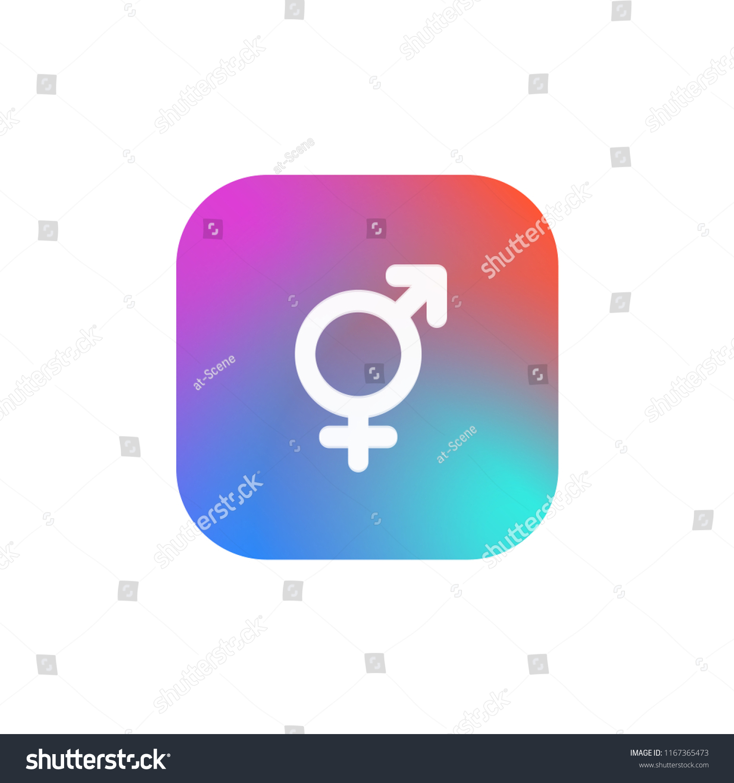 Transgender App Icon Stock Vector (Royalty Free) 1167365473