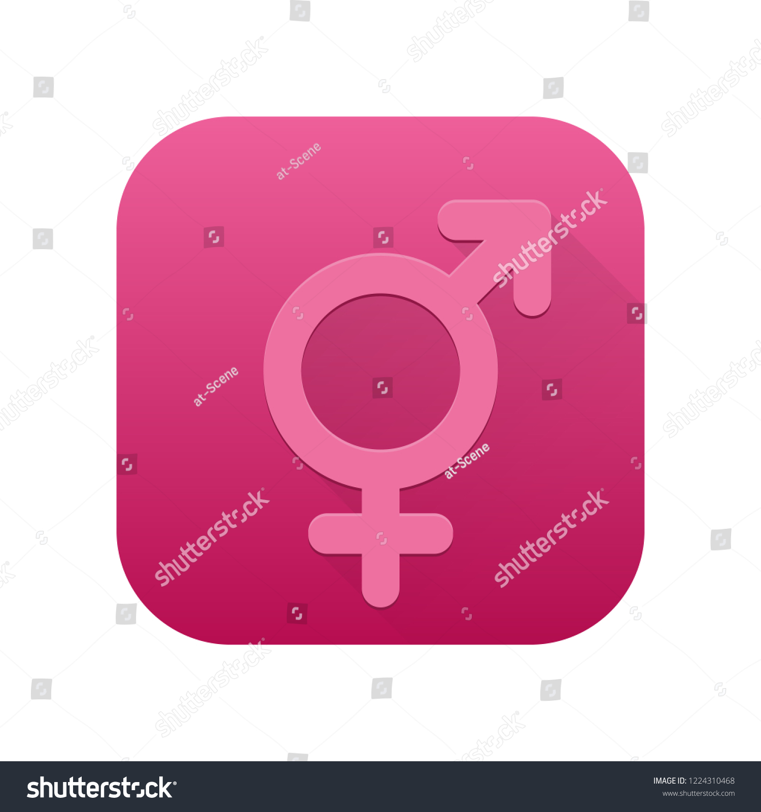 Transgender App Icon Stock Vector (Royalty Free) 1224310468 | Shutterstock